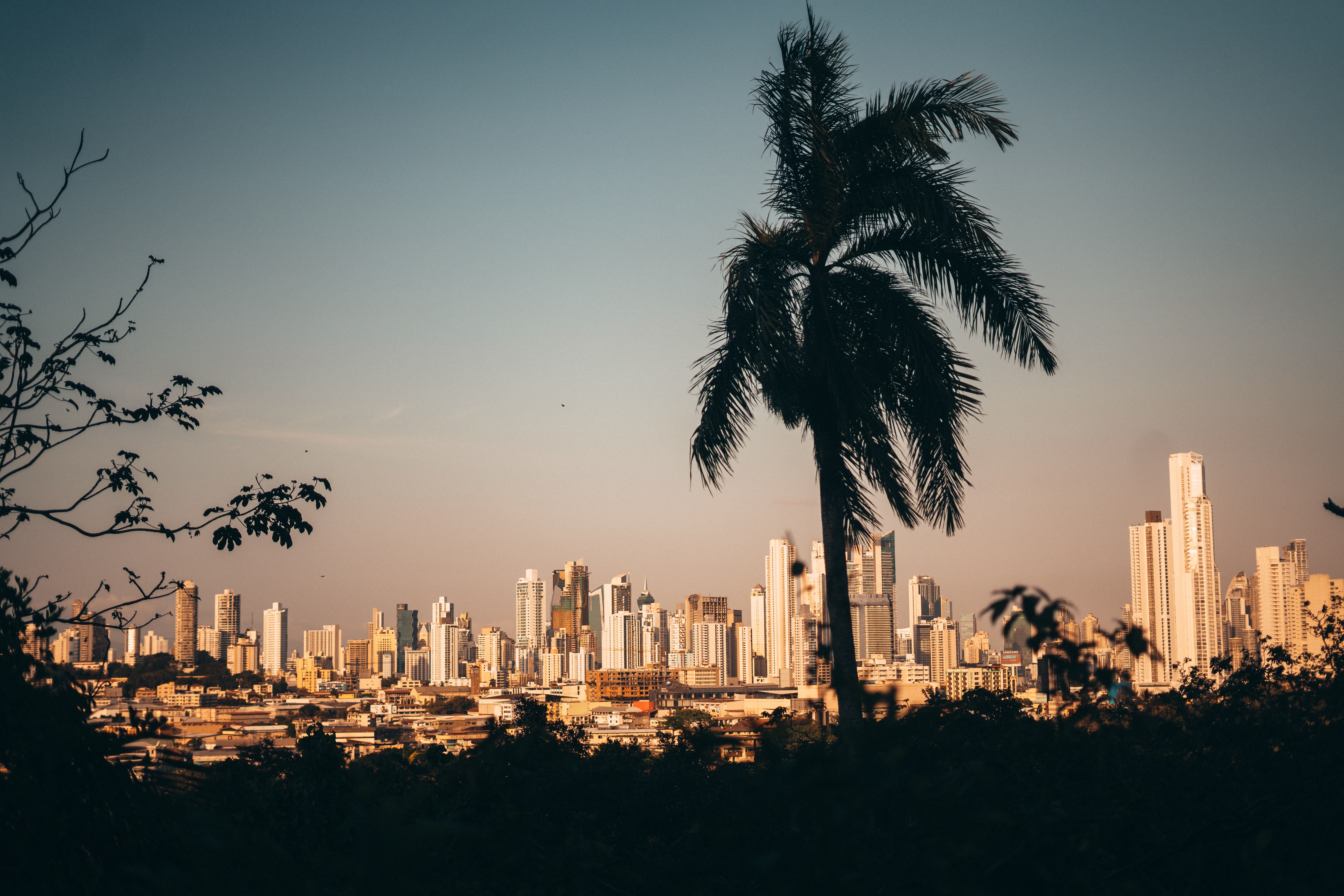 Holistic Travel in Panama City and Cambutal