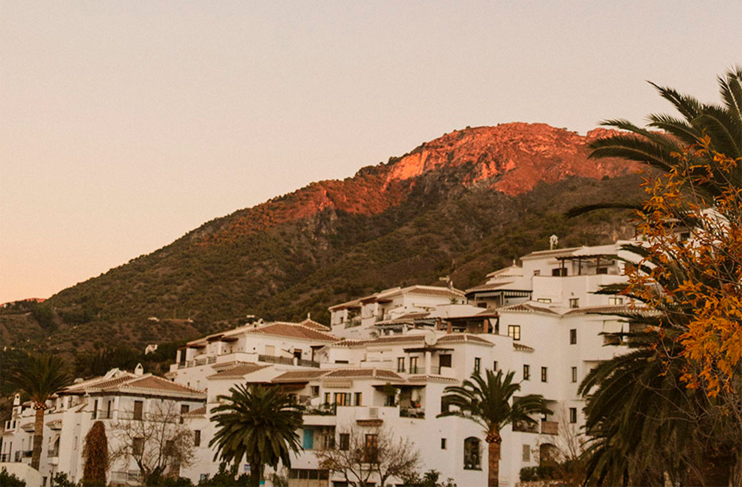 Claire Simons | Fora Travel