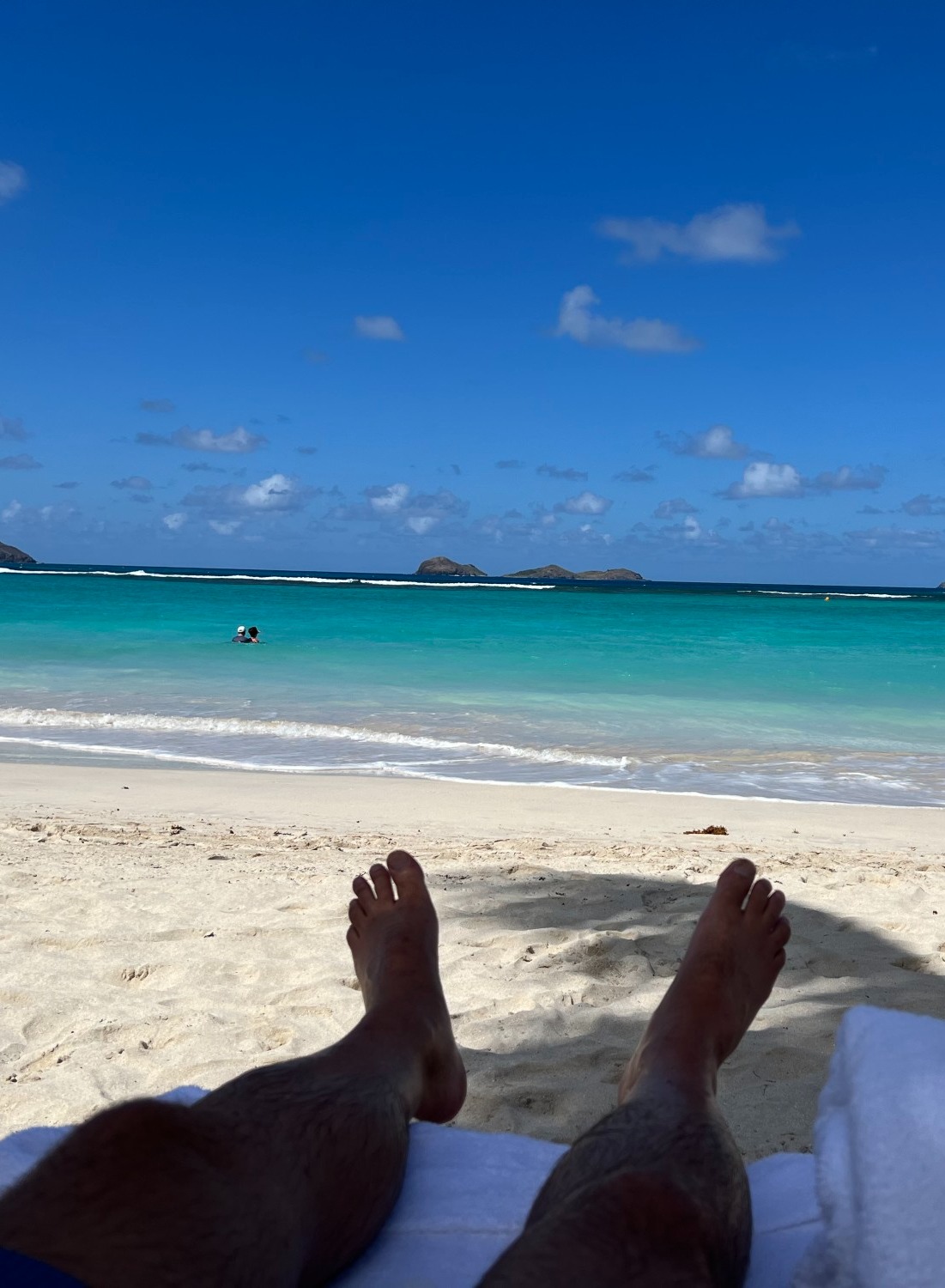 Traveling on the Splendid Splendor from Miami to Miami