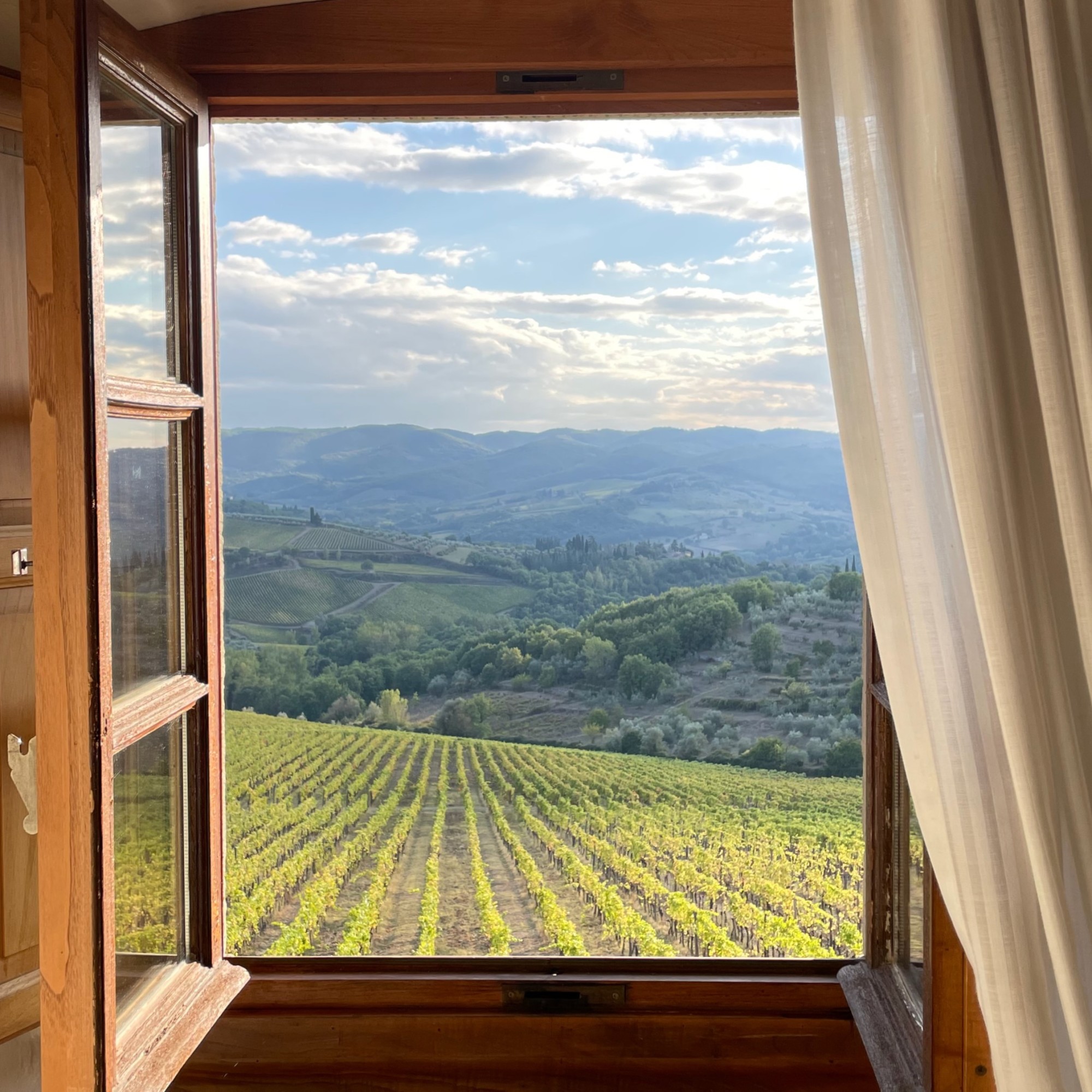 Tasting Tuscany: A Culinary Journey Through Wine Country