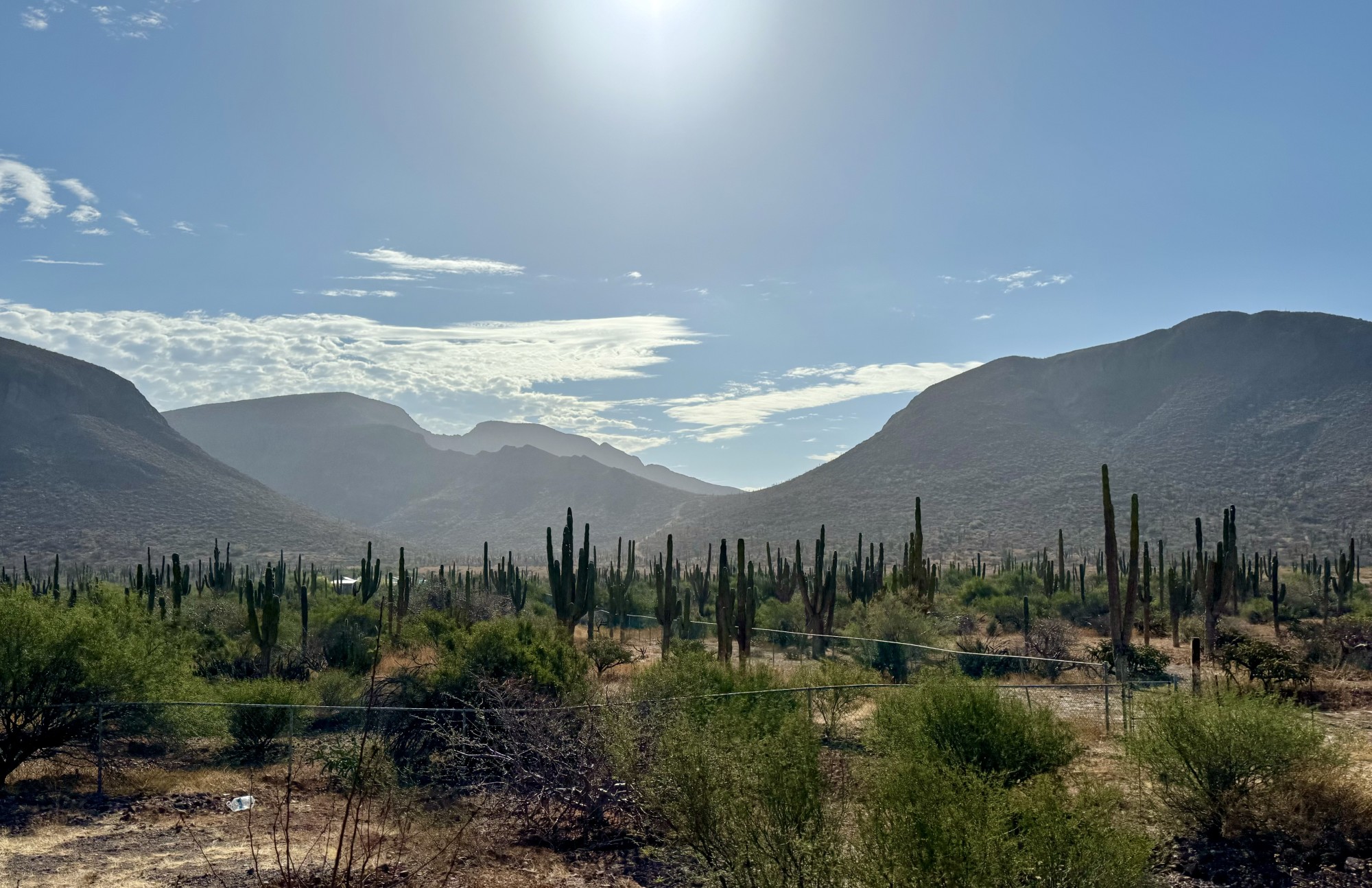 Baja's Golden Triangle: Exploring Los Cabos, Todos Santos and La Paz