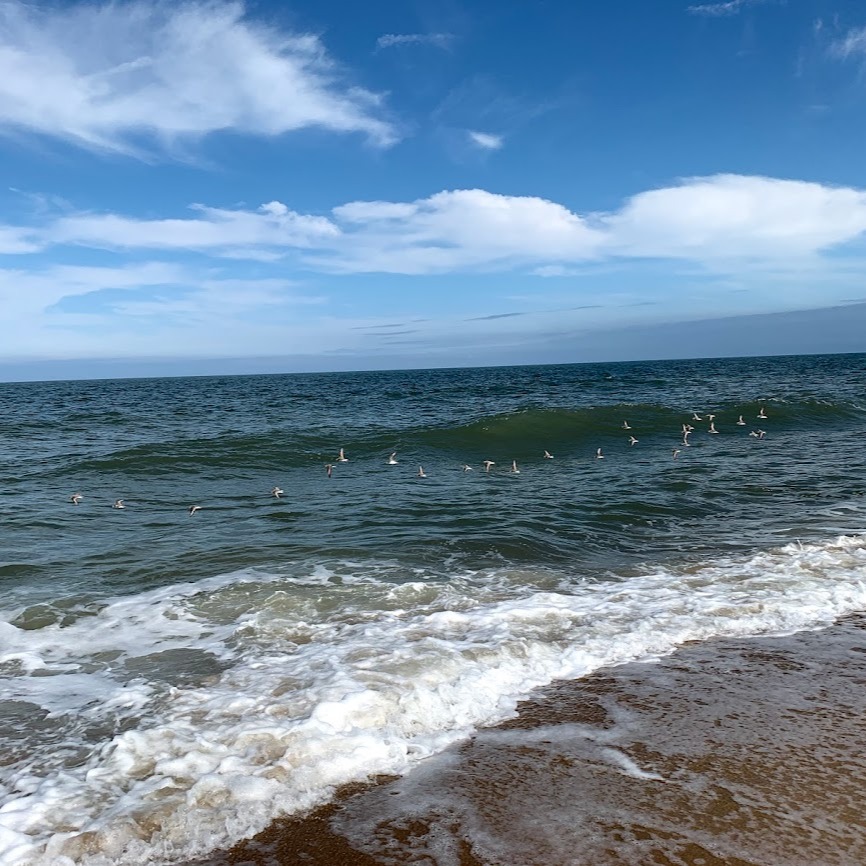 Your Guide to Choosing the Best Delaware Beach for You