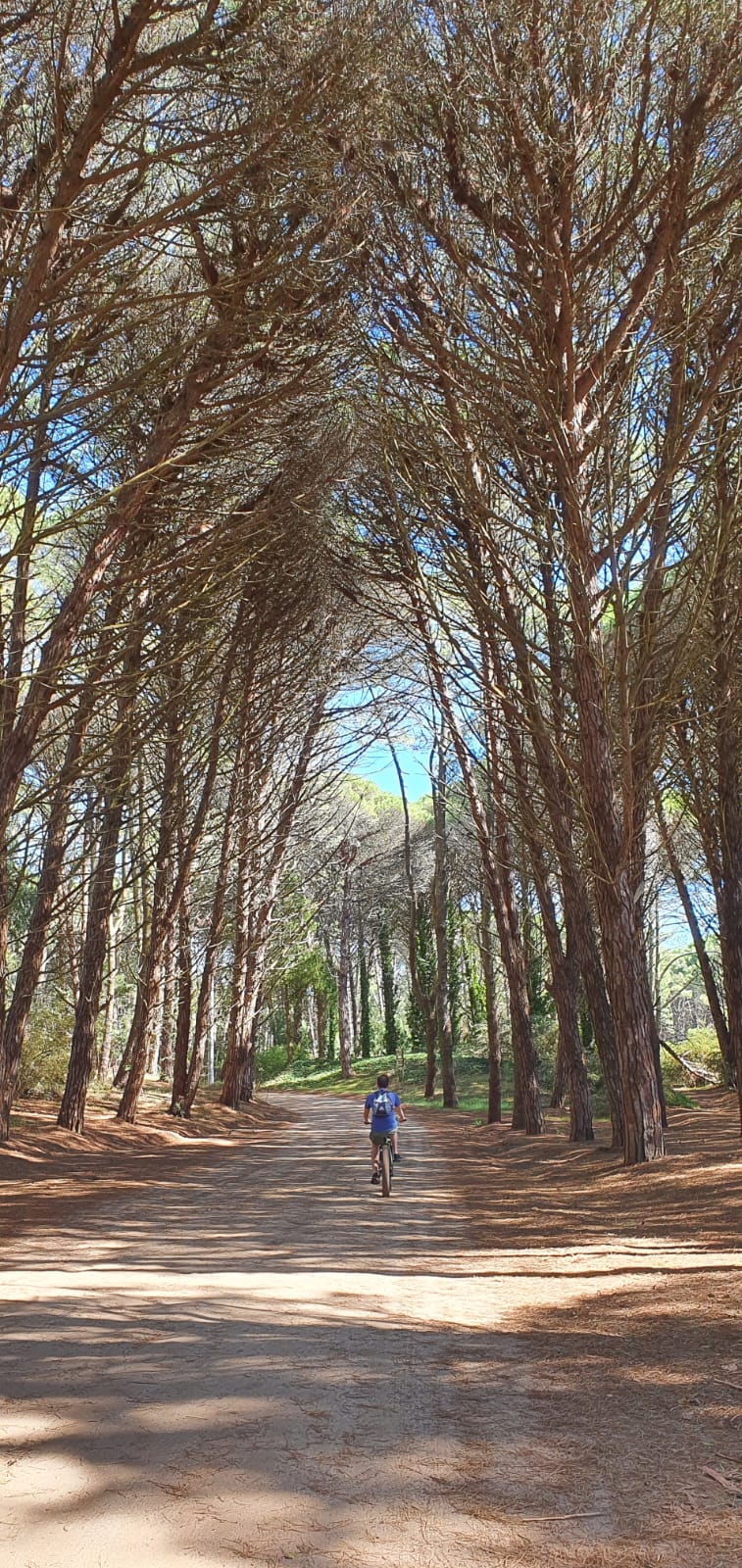 Hidden Gem: Shores of Carilo (Argentina)