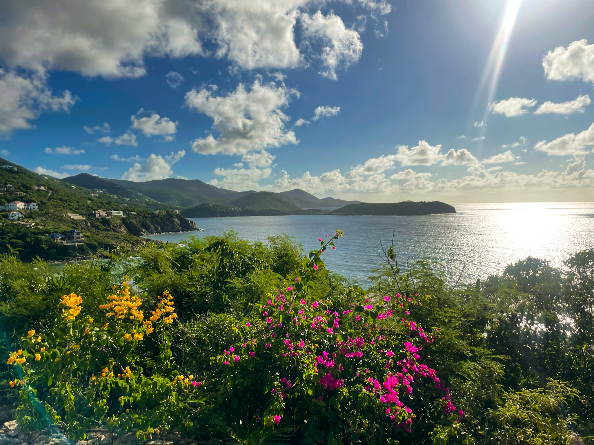 Erica Jackson | Fora Travel