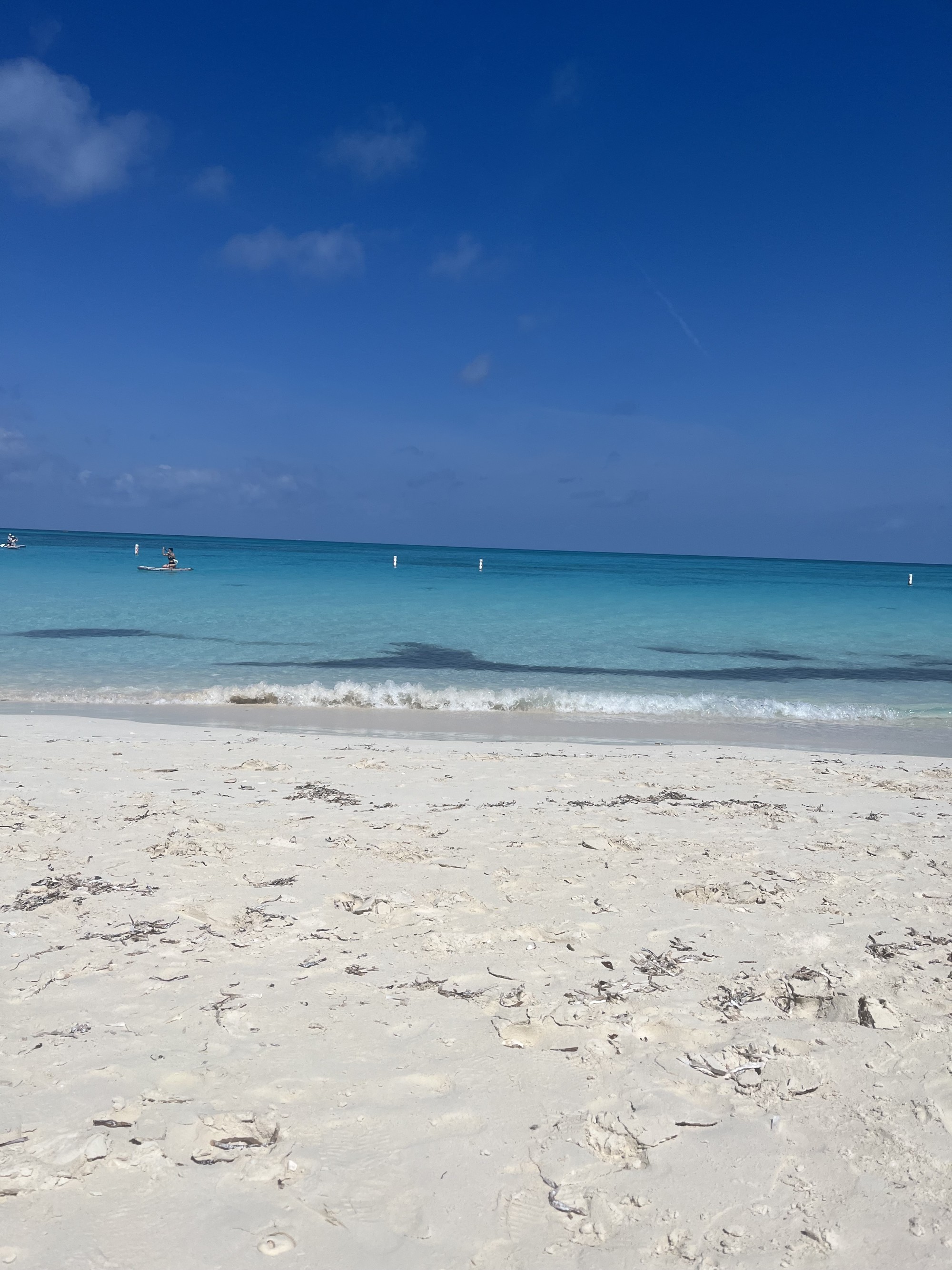 Dominican Daze on the Scarlet Lady