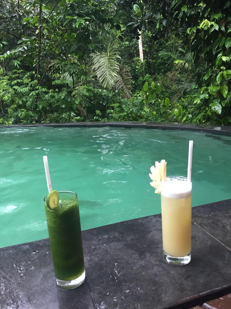 The Kayon Jungle Resort in Ubud Bali has the Wow Factor at Every Turn