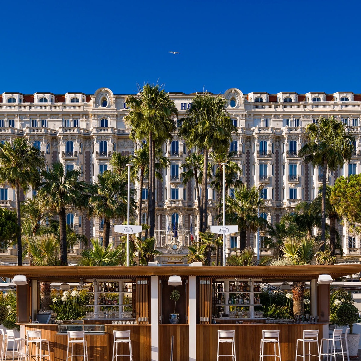 The Carlton Cannes Will Never Go Out of Style: A Conversation with the ...