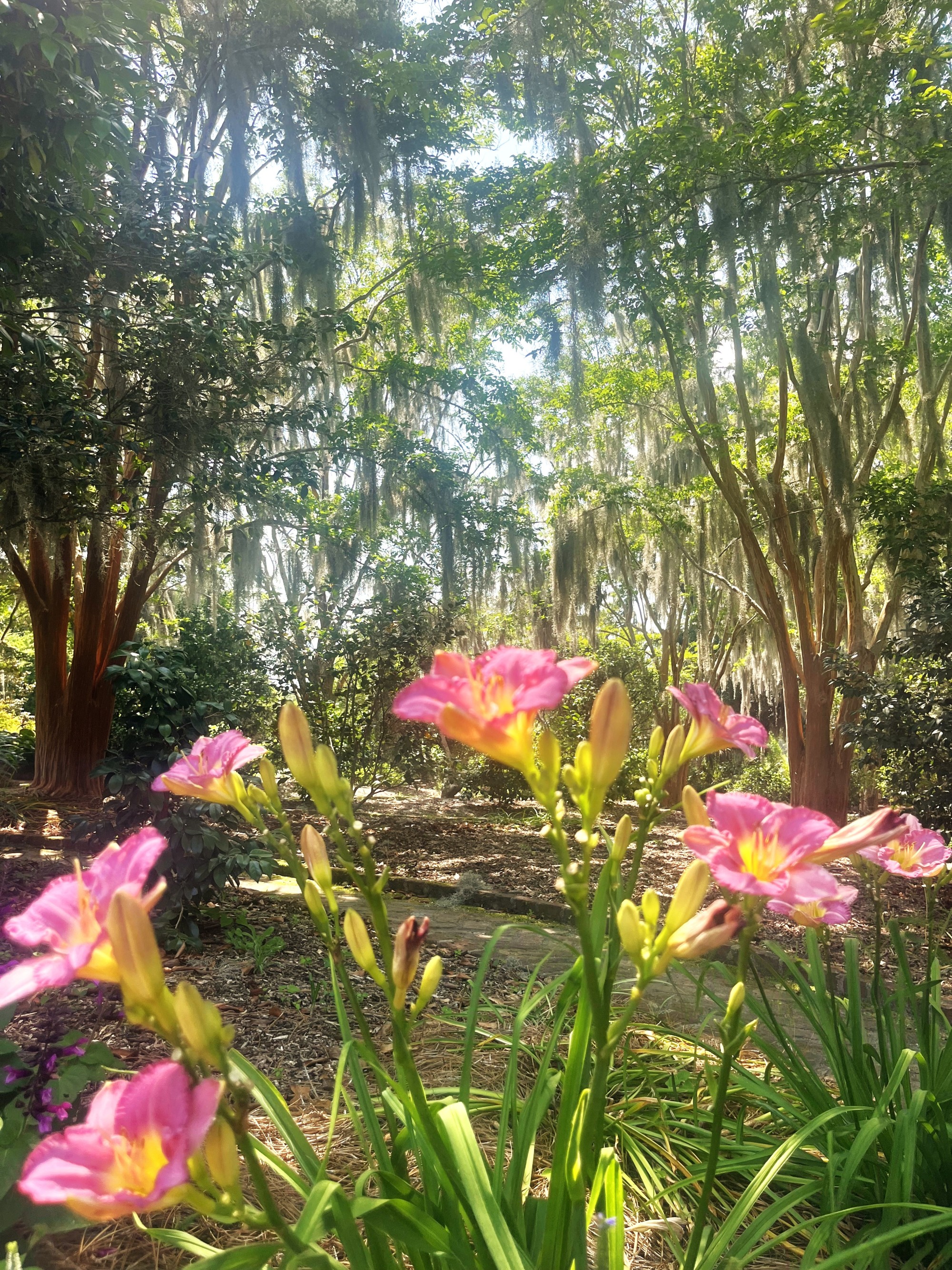 Enjoying a Long Weekend in Charleston, SC