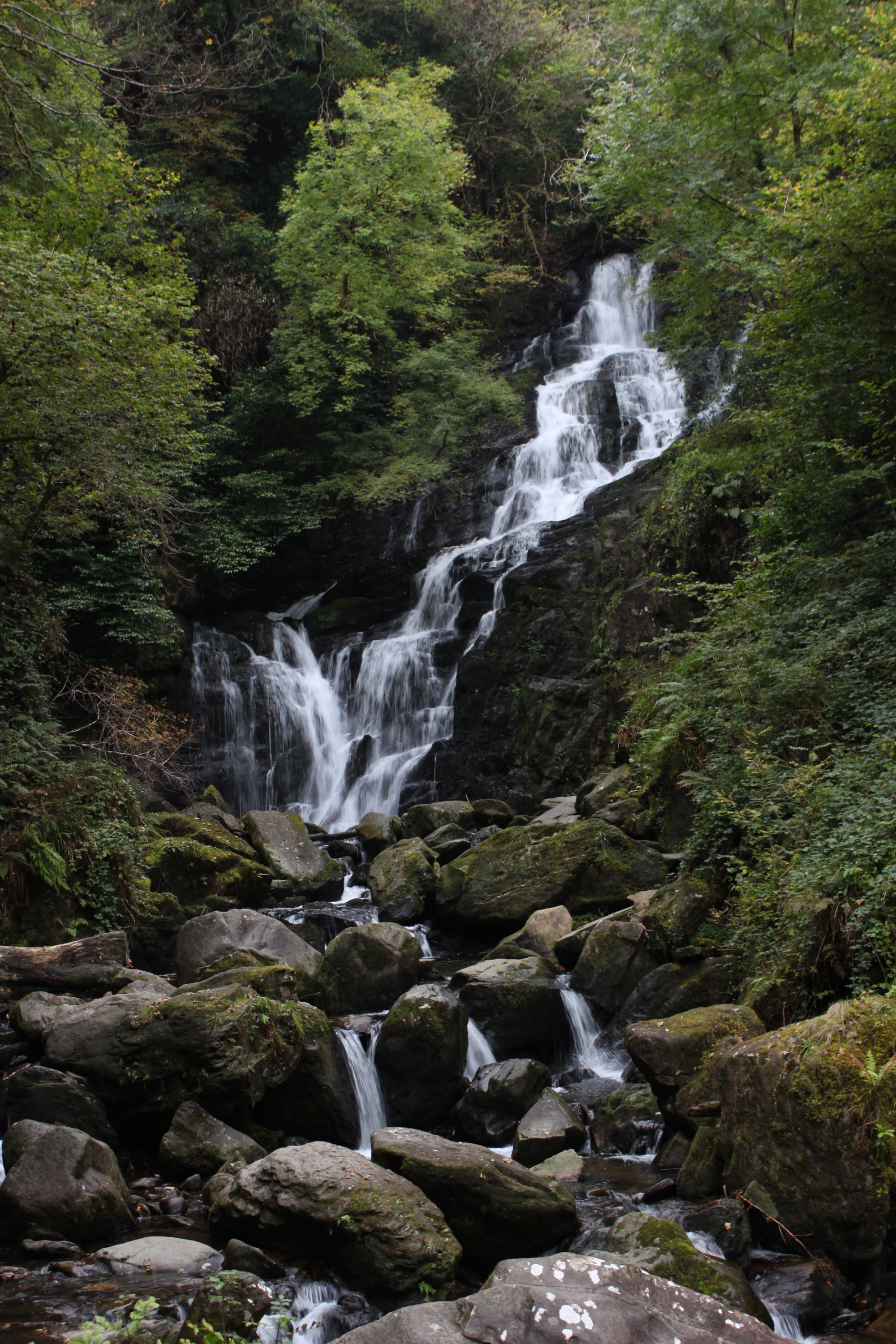 A Day Trip to Queens County, Ireland