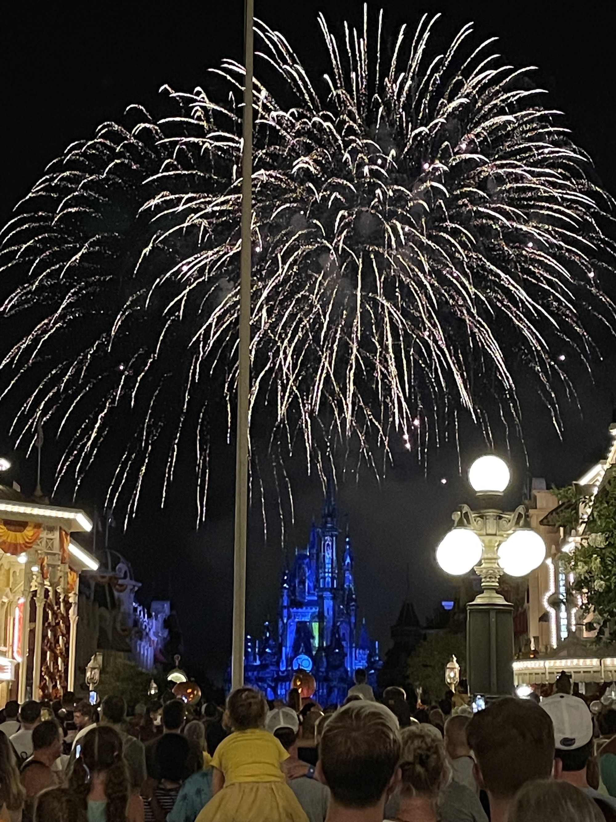 One Day at Magic Kingdom