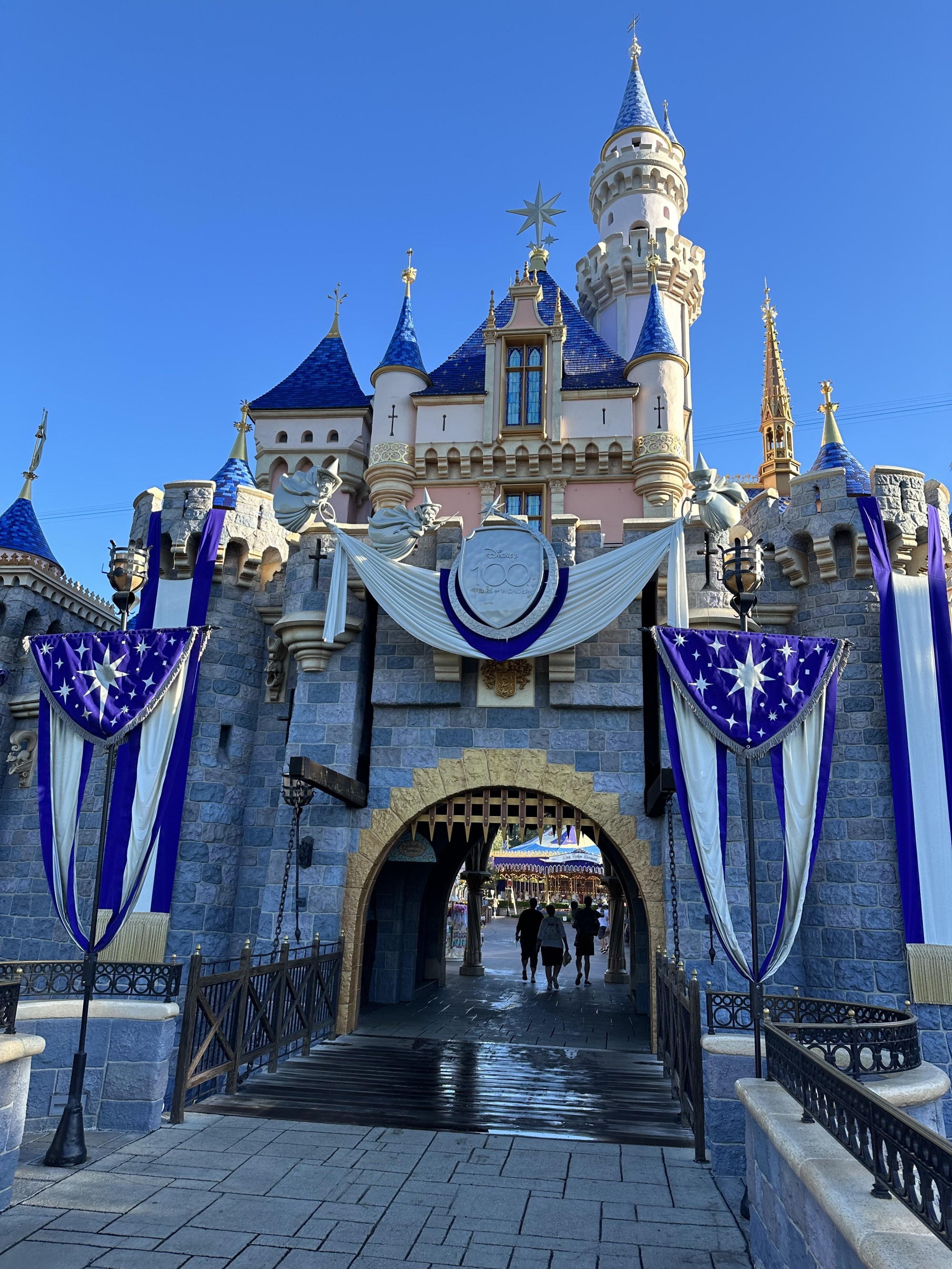 Guide to Conquering Disneyland Stress-Free