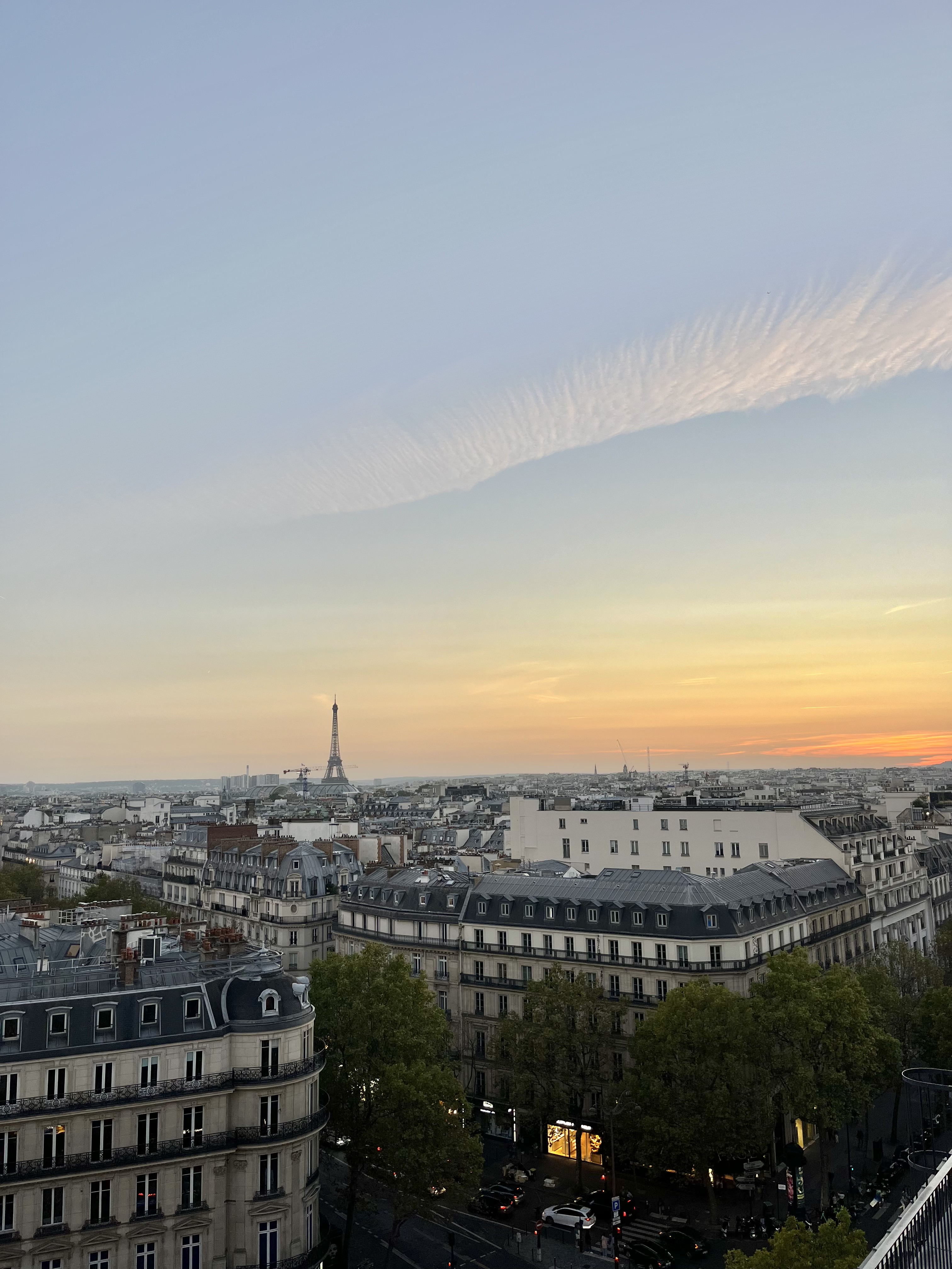 Georgia Goddard | Fora Travel