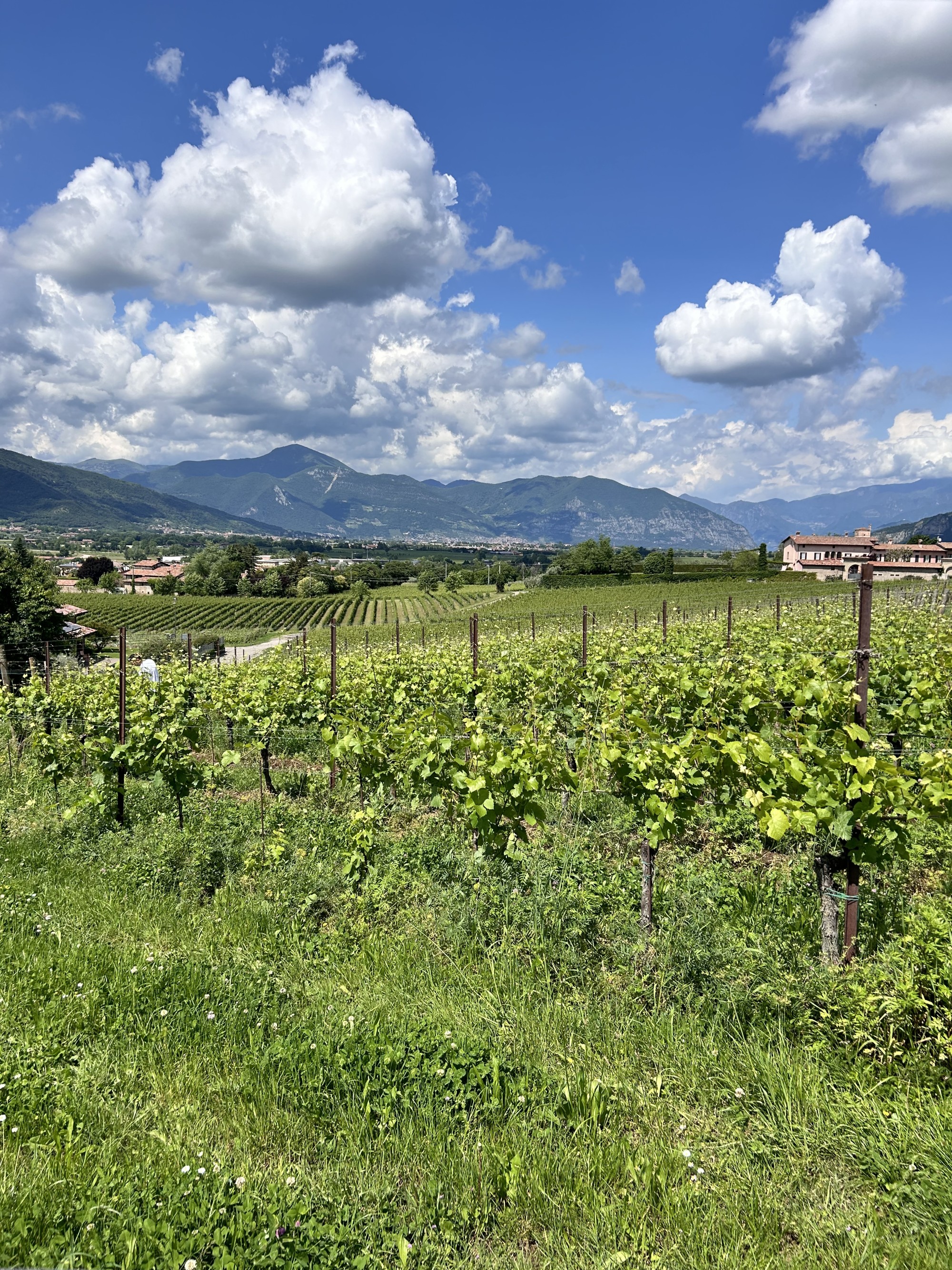 A Long Weekend in Franciacorta, Italy