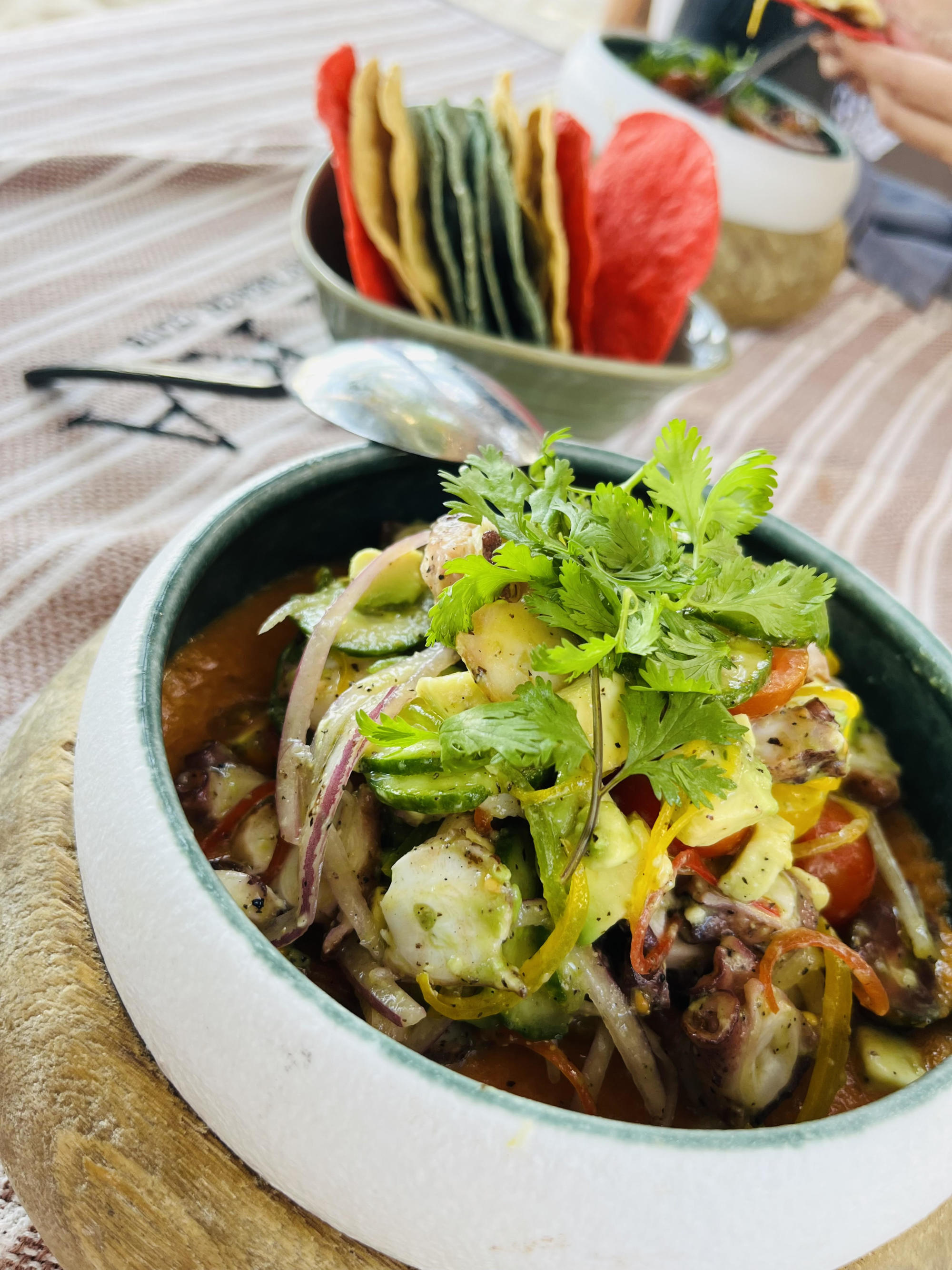 Site Inspection at Tantra Luxury Beach Club in Tulum, Mexico