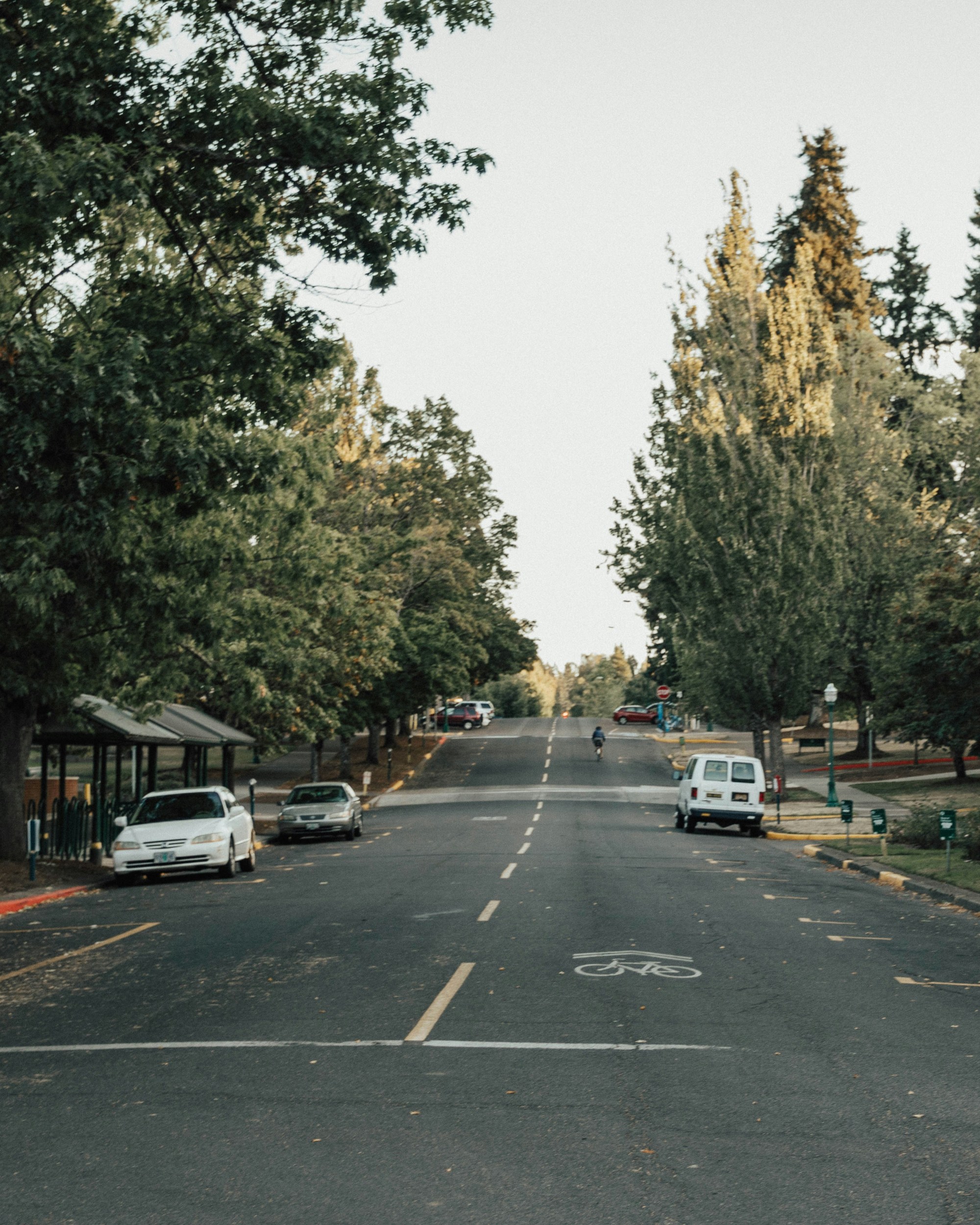 Experience the Beauty of Eugene, Oregon