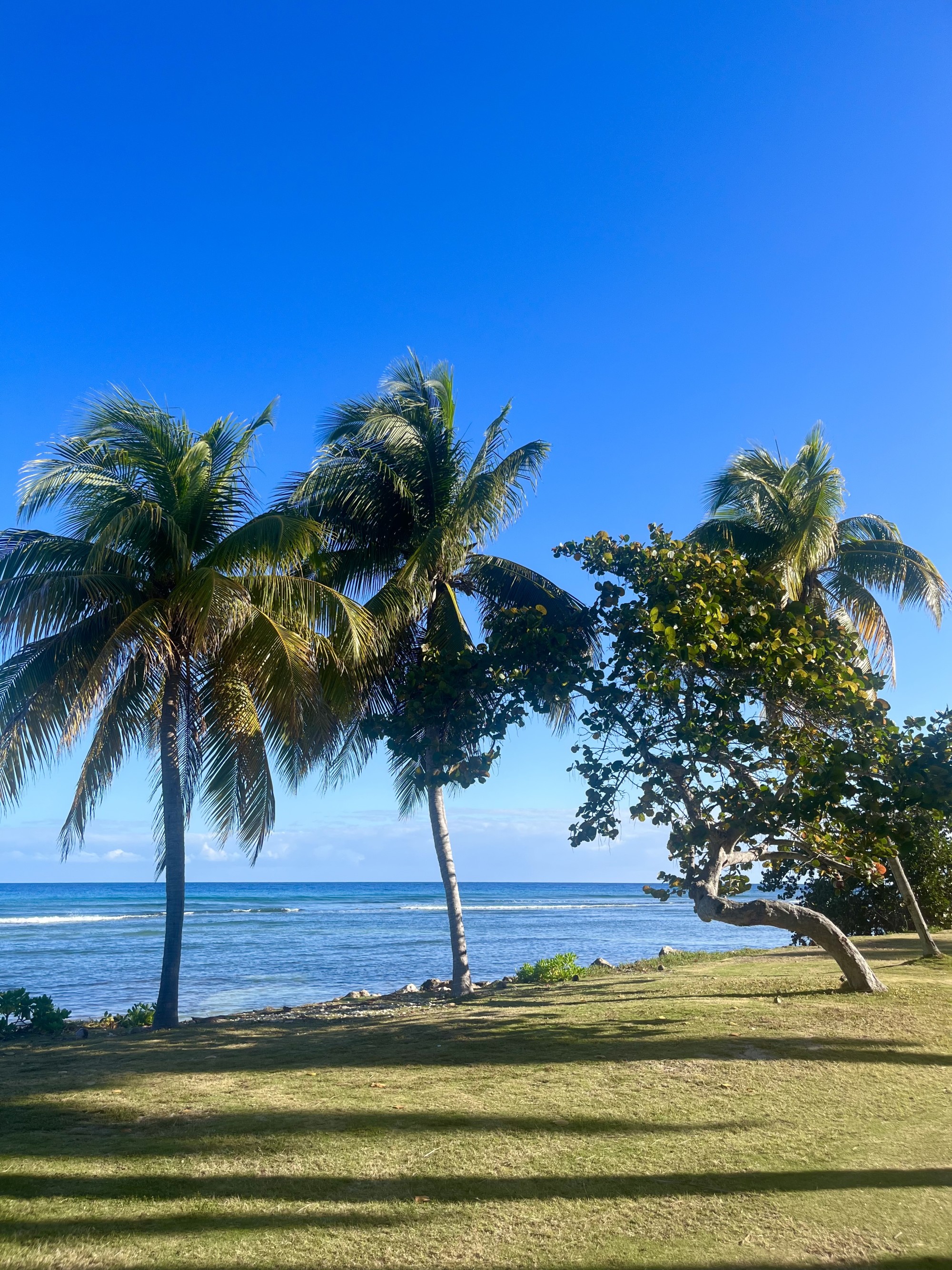 Half Moon Montego Bay Review