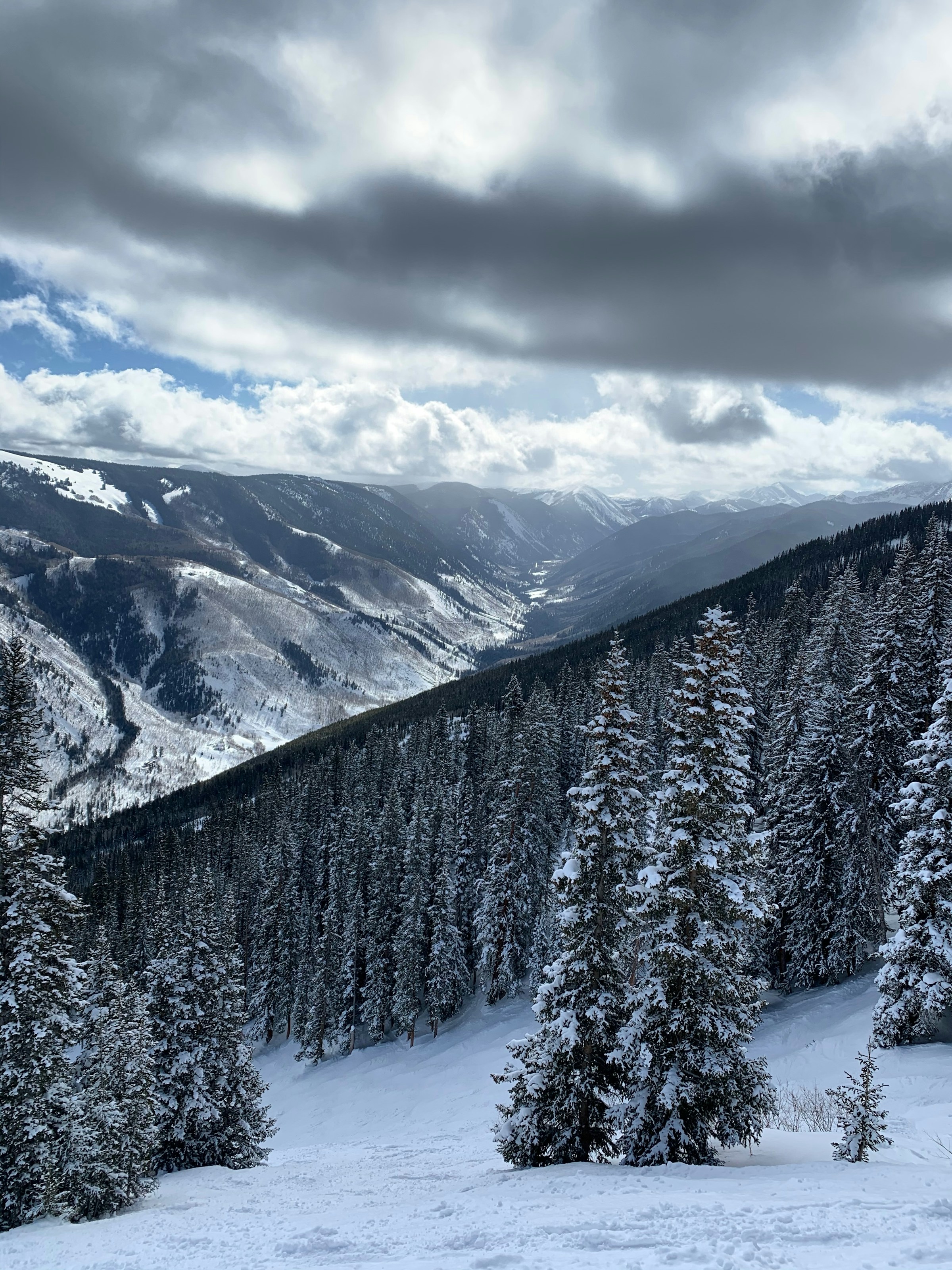 Rocky Mountain Revelry: Aspen in March