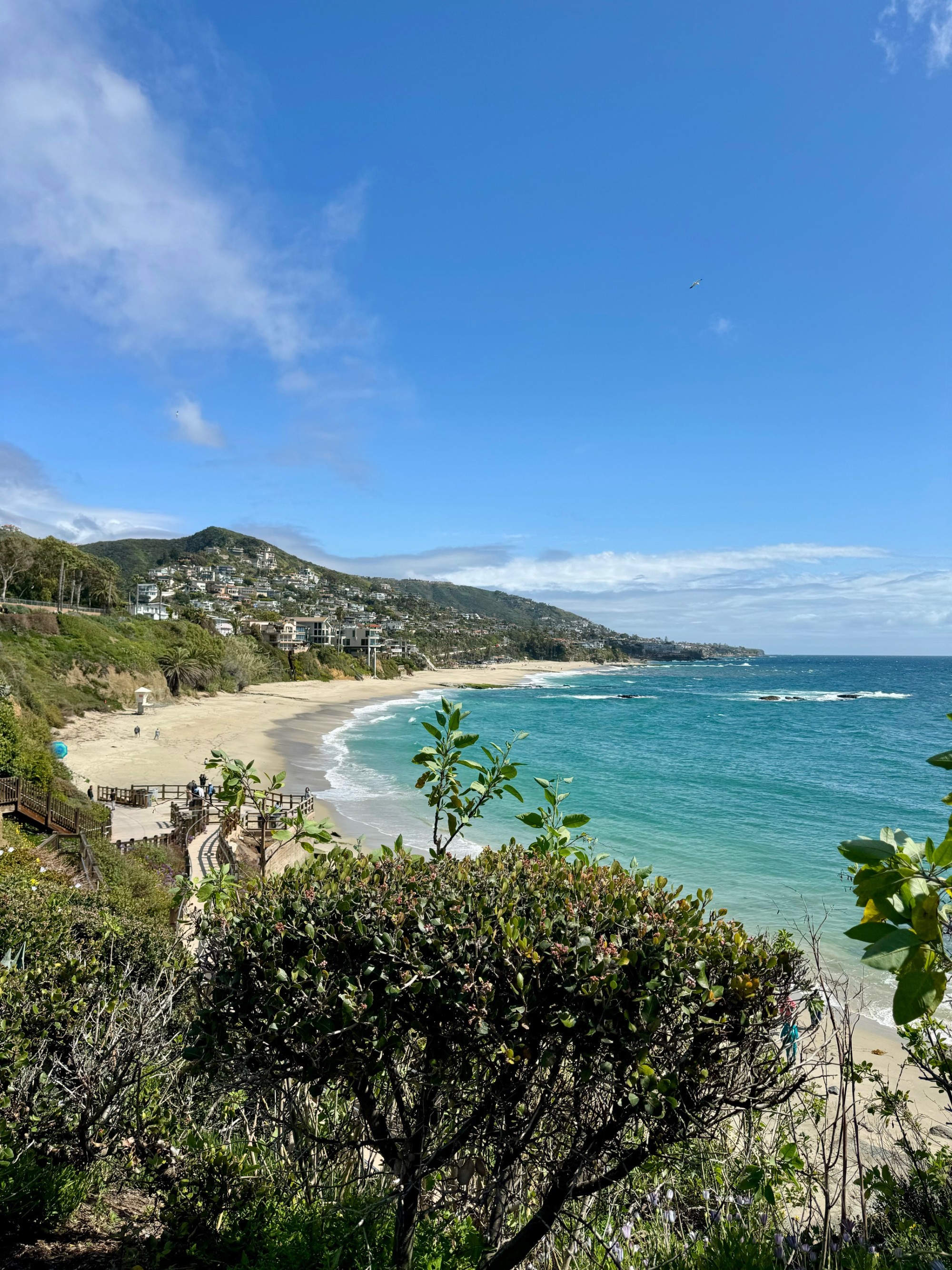 Unveiling Laguna Beach: A Travel Advisor's Guide to Hidden Gems