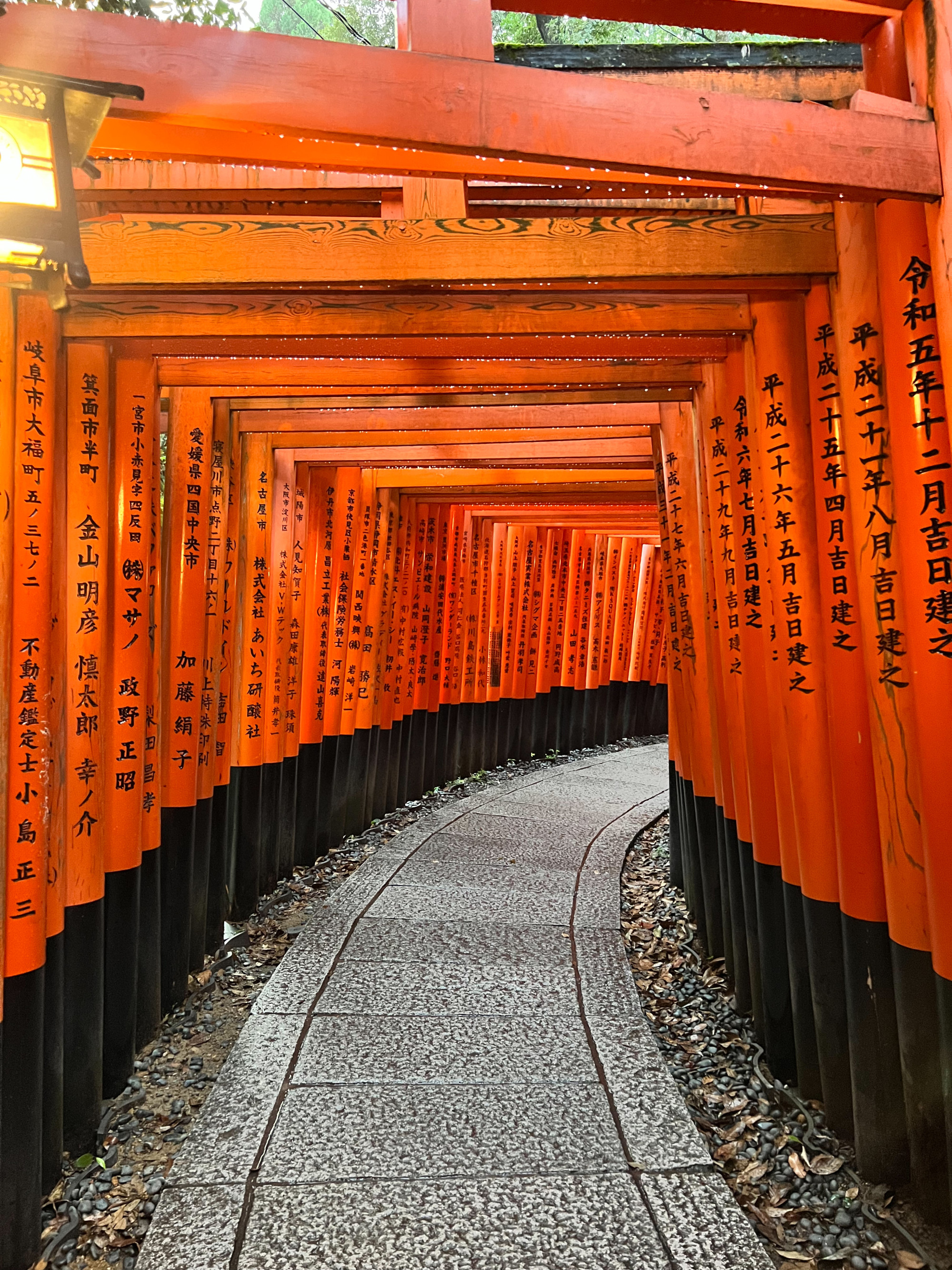 Kyoto Uncovered: Essential Destinations & Hidden Gems You Can't Miss