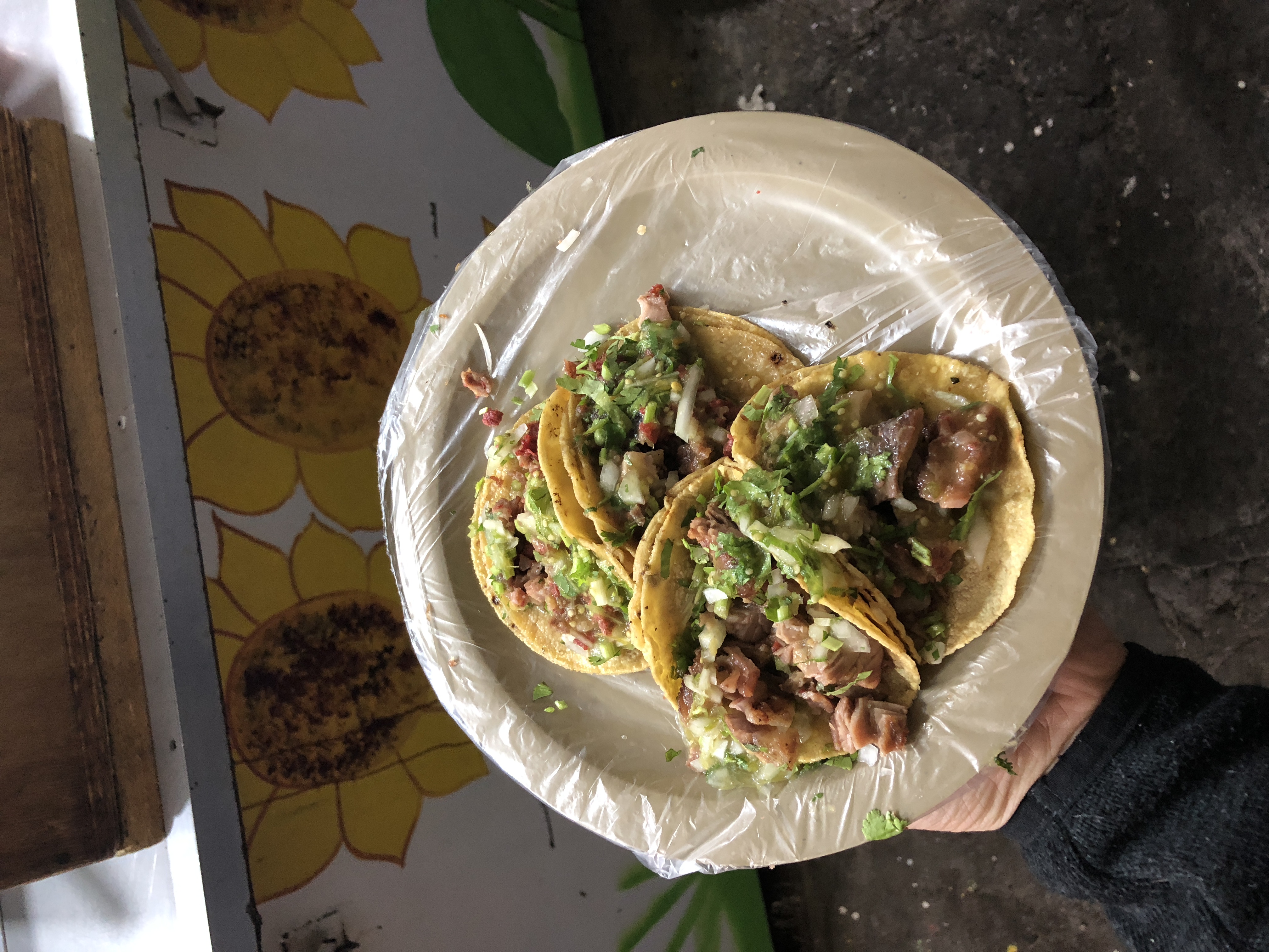 Eating Your Way Through Mexico City