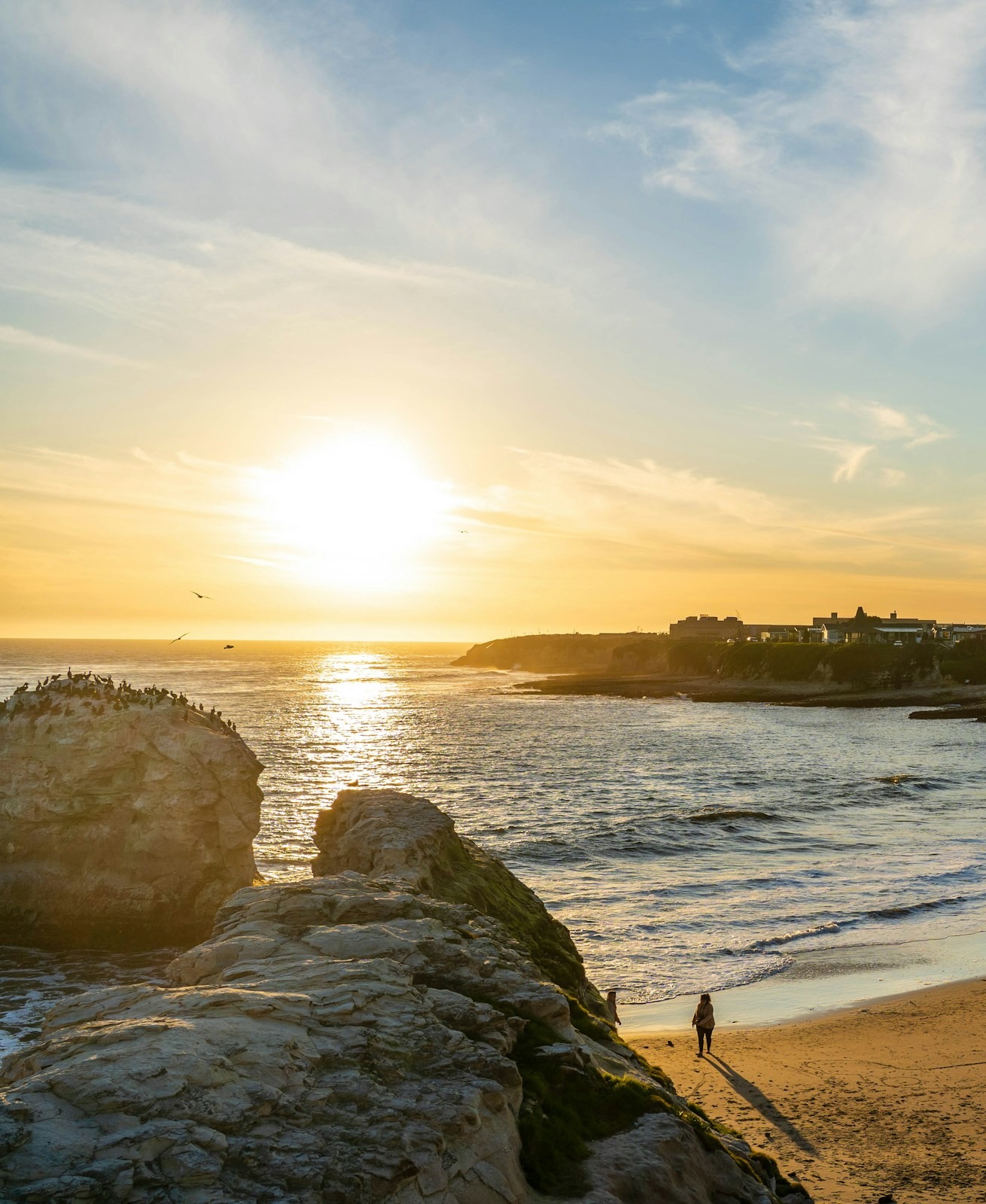 Beaches and Redwoods: 10 Spectacular State Parks to Visit in Santa Cruz ...