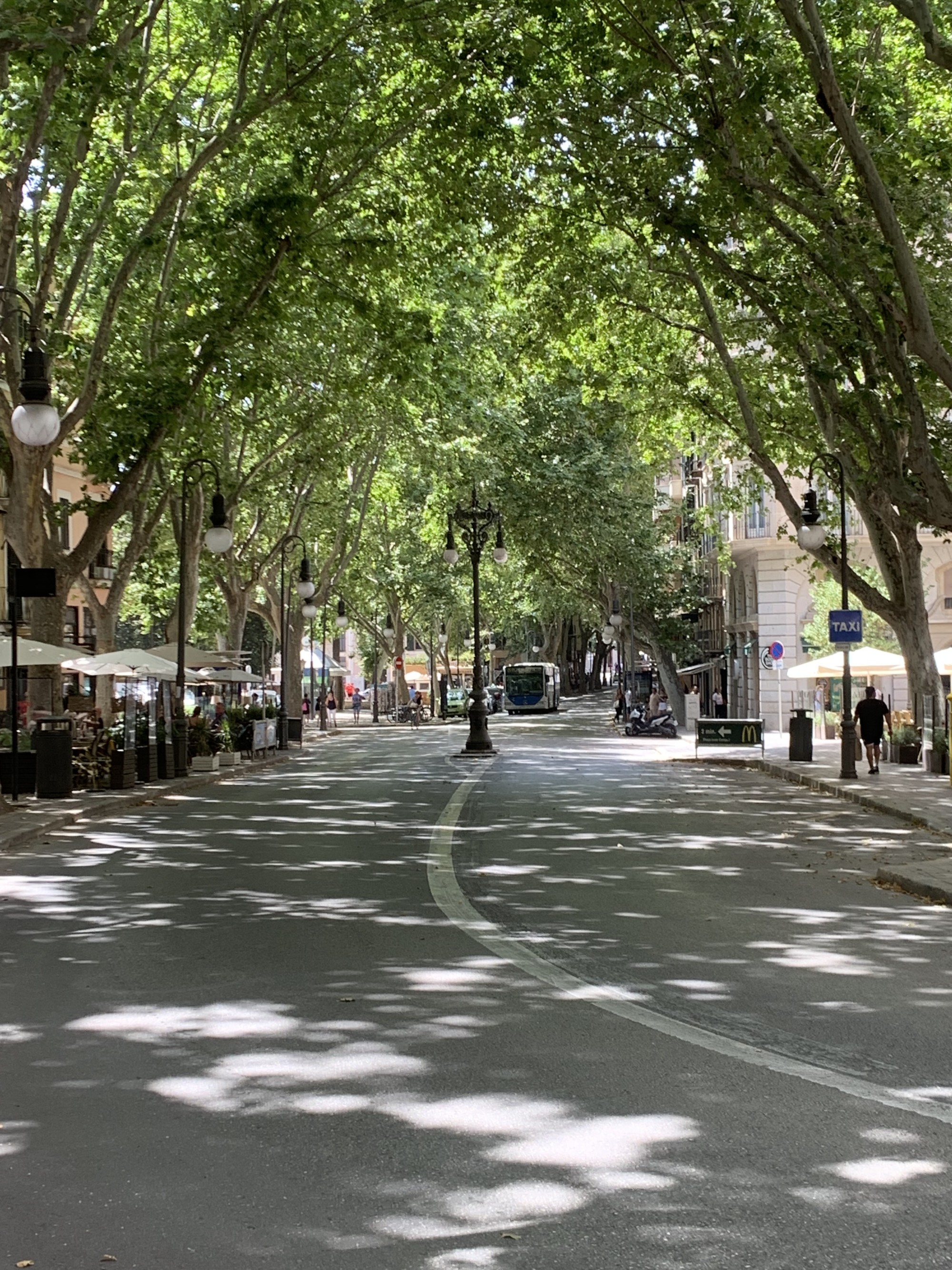 A Day in Palma de Mallorca: Exploring the City Center