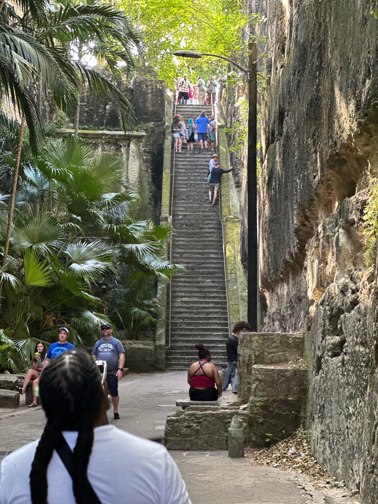 Carnival Conquest Cruise to Half Moon Cay and Nassau, Bahamas
