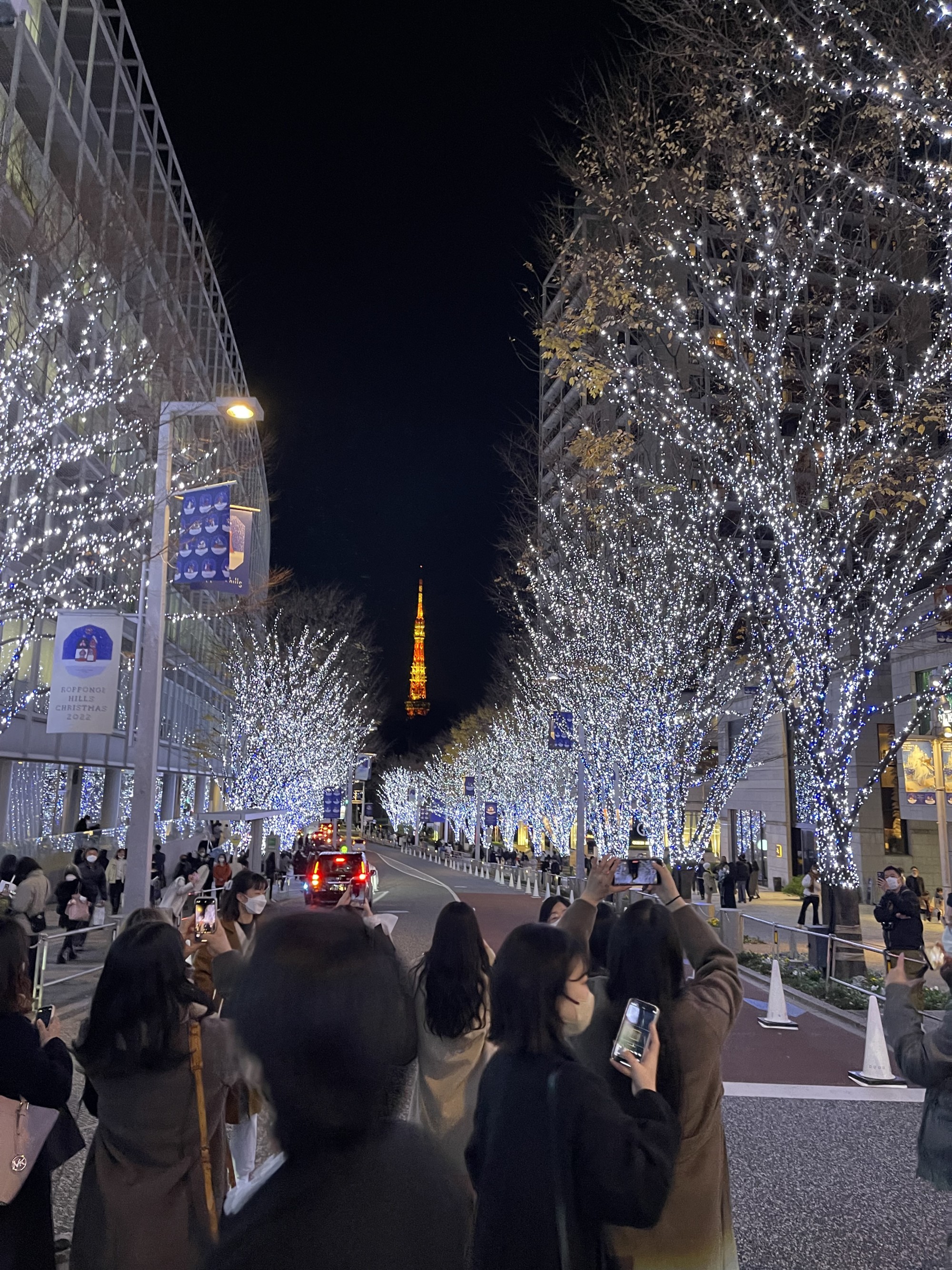 Experience the Festivities: How to Celebrate Christmas in Japan