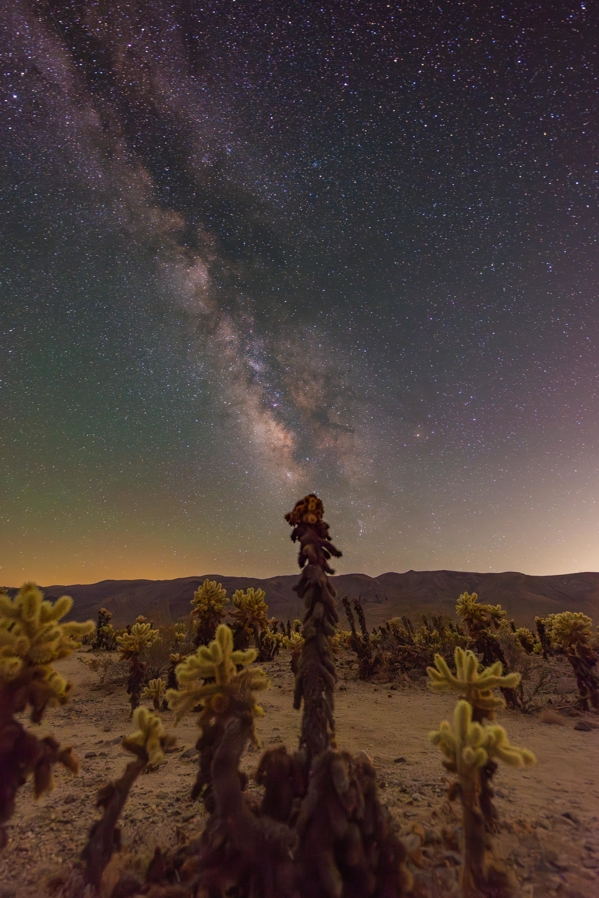 Locals Guide to Palm Desert