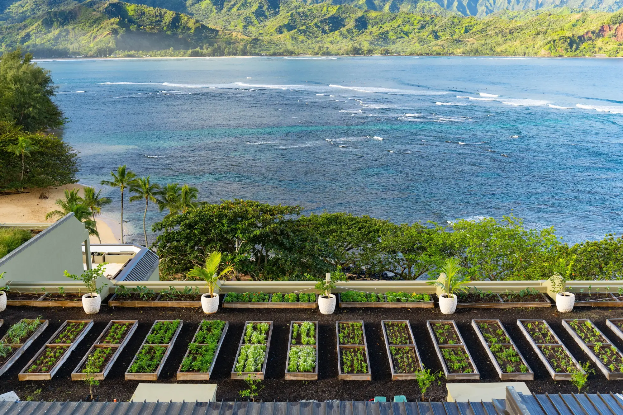 6 Bucket List, Eco-Friendly Travel Experiences to Book This Summer