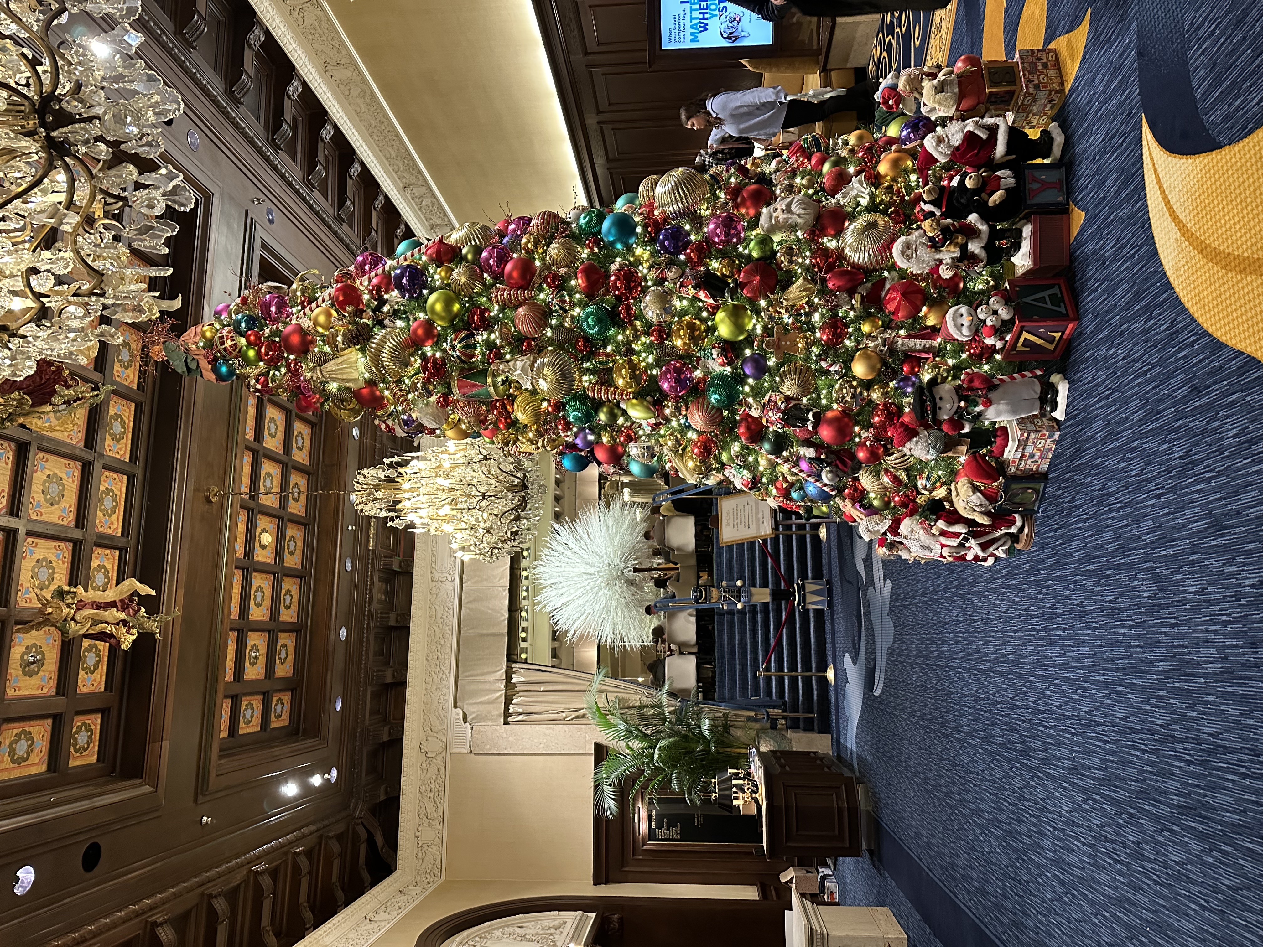 Fun Christmas in Chicago