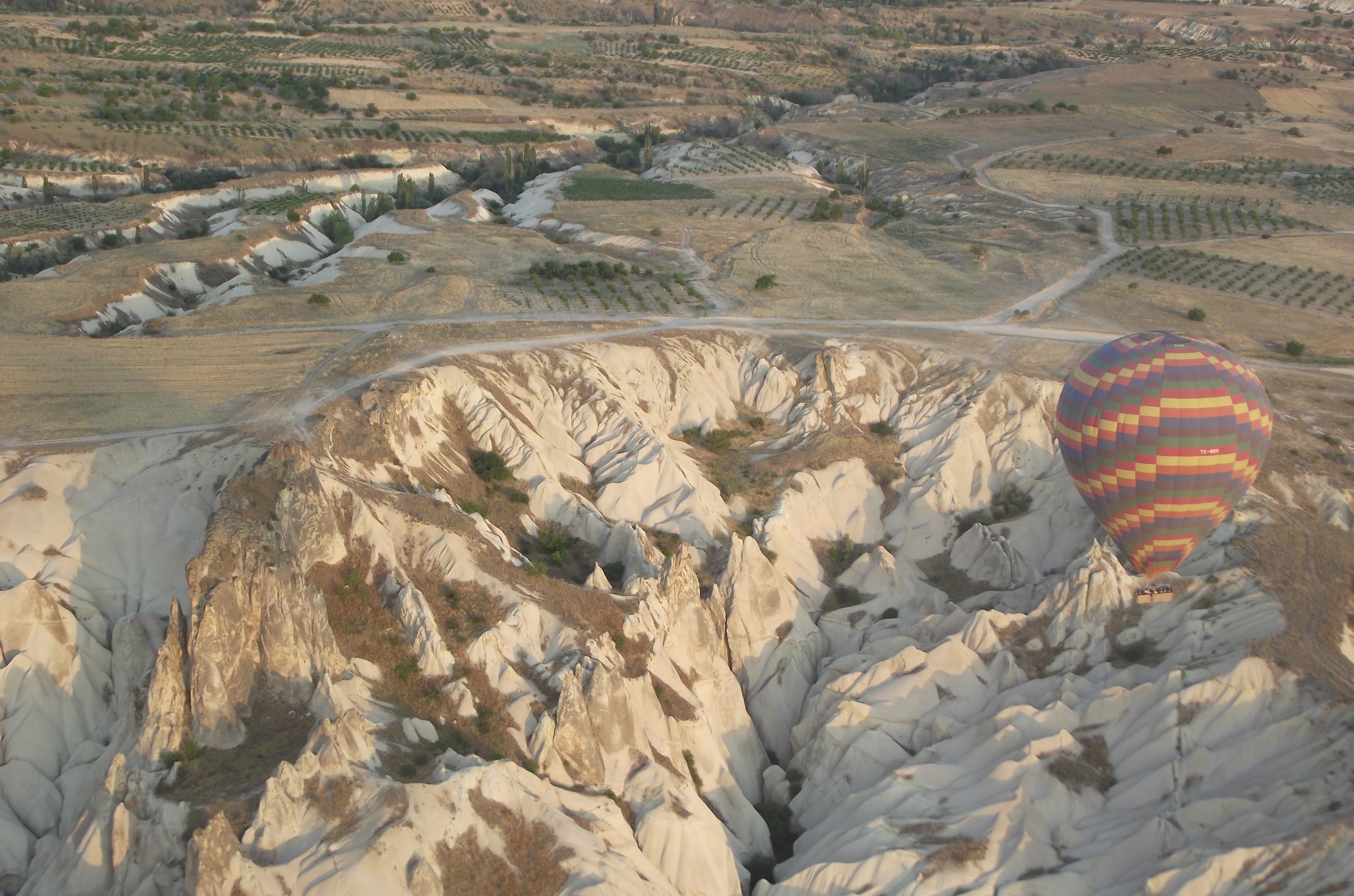 Caroline Rust | Fora Travel