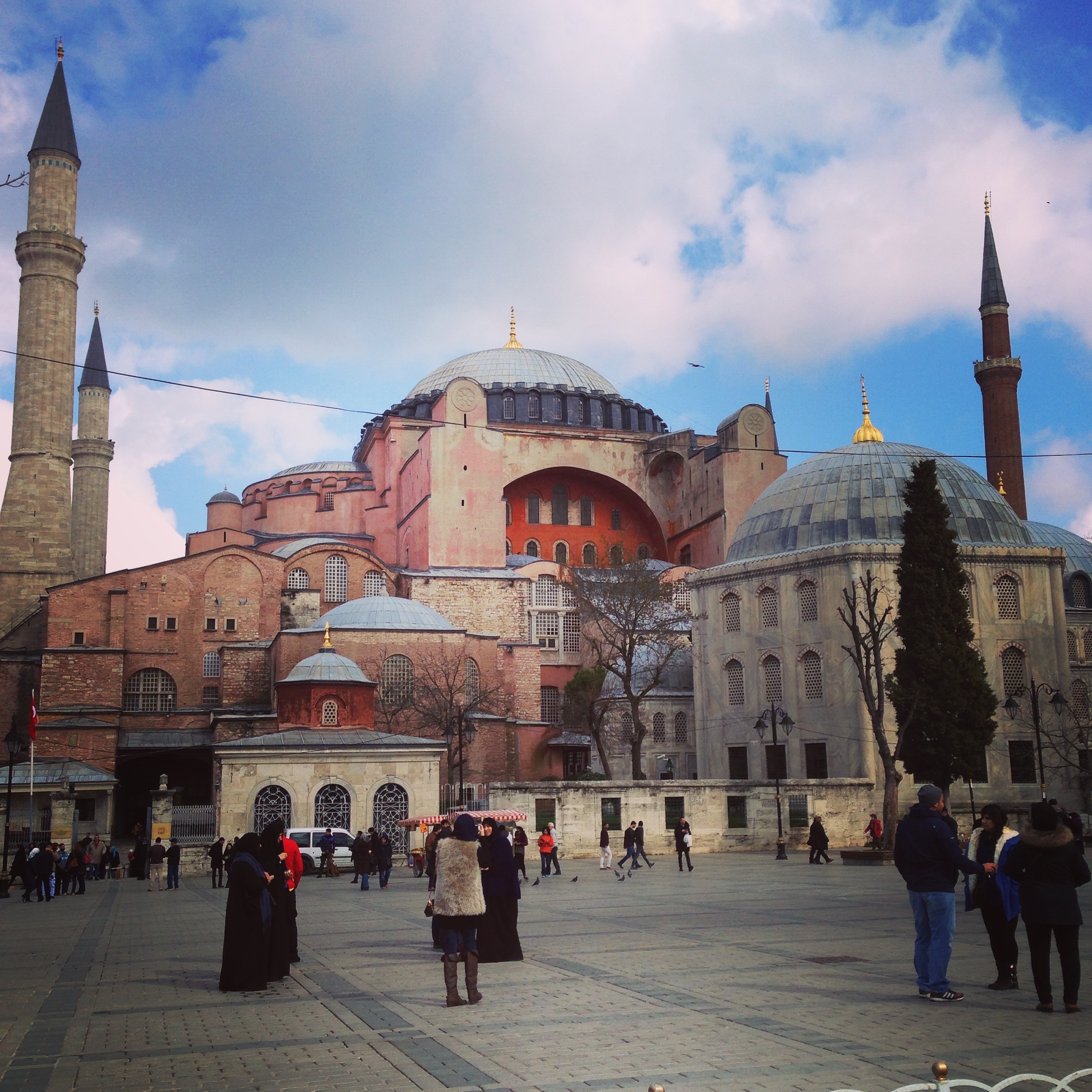 Allie Haley | Fora Travel