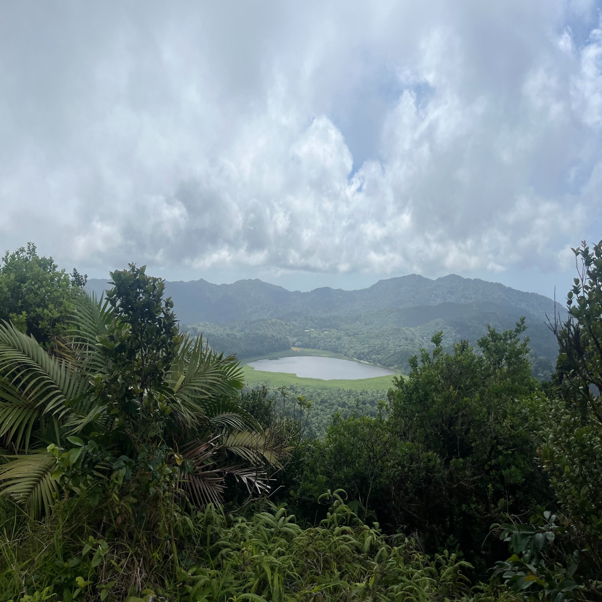 Sand, Spice and Everything Nice: Grenada