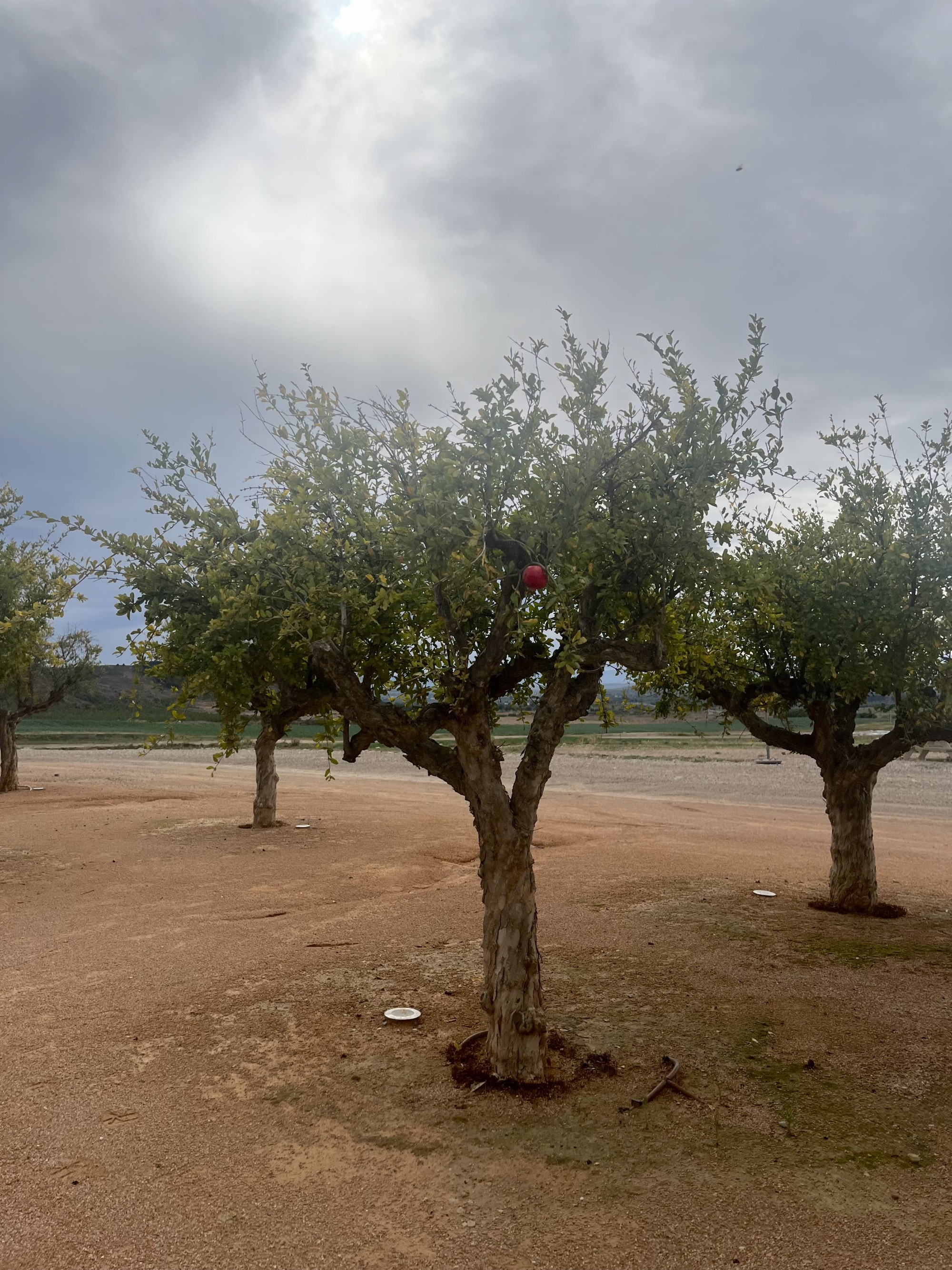 Romantic and adventurous getaway in the Bardenas Reales park in Spain