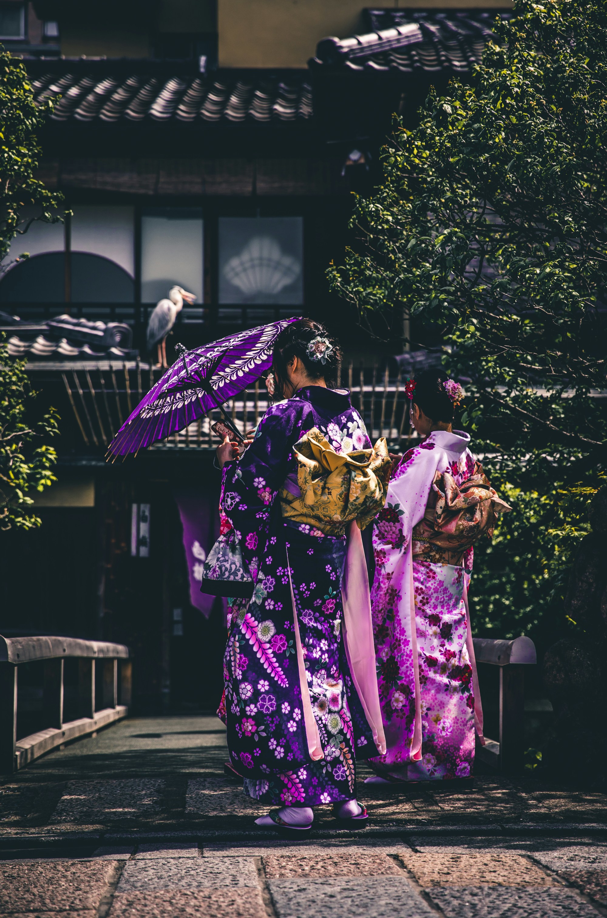 History and Culture in Japan