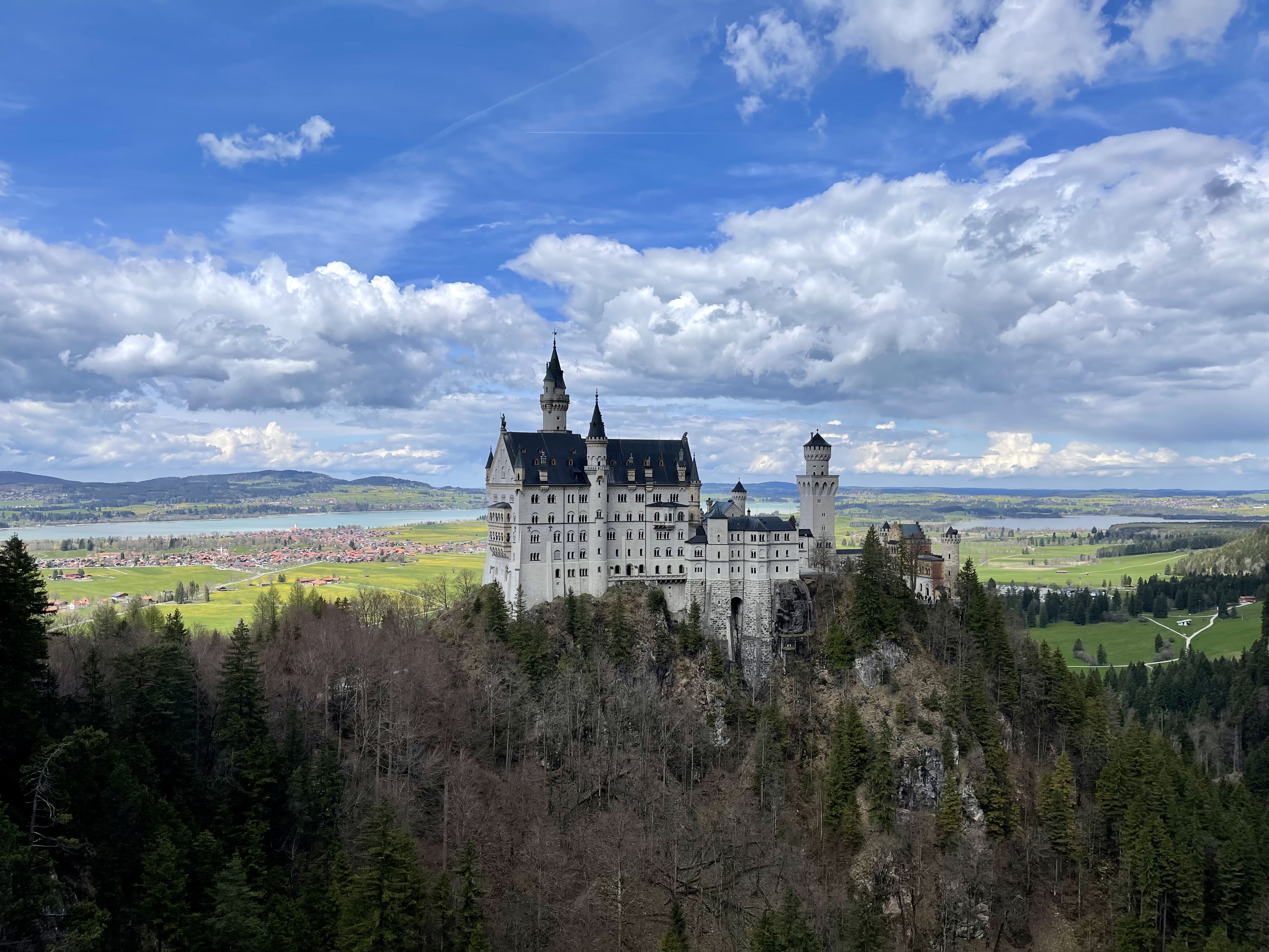 Taylor Phillips | Fora Travel