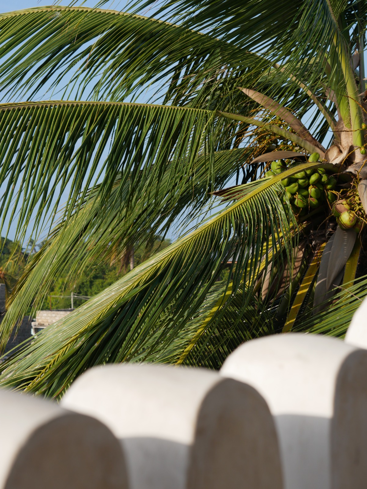 Your Perfect Lamu Holiday: Hidden Gems of Kenya’s Remote Island Paradise