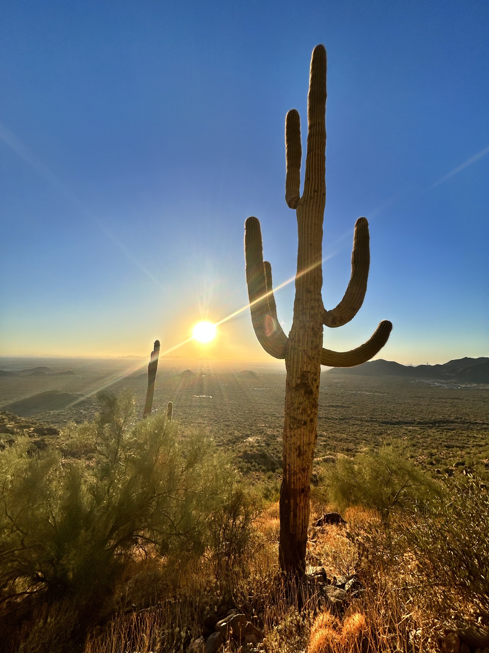 Guide to the Valley of the Sun in Arizona