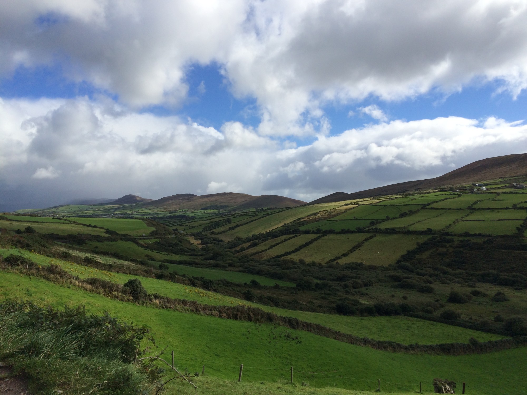 A Day Trip to Queens County, Ireland
