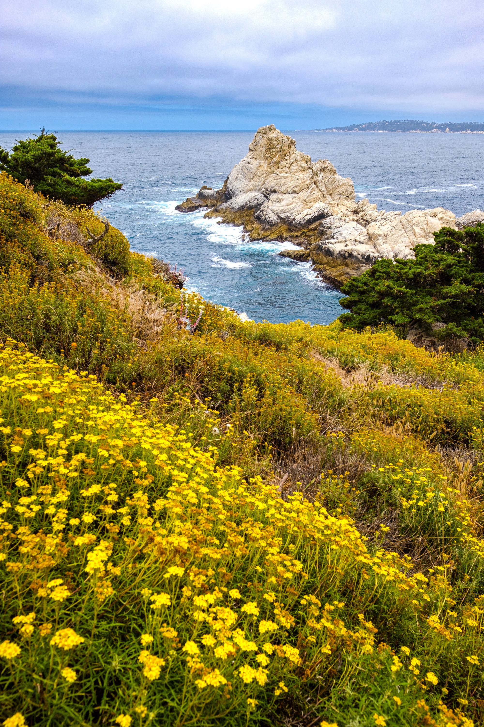 Fora Favorites: An Essential Guide to the Monterey Peninsula