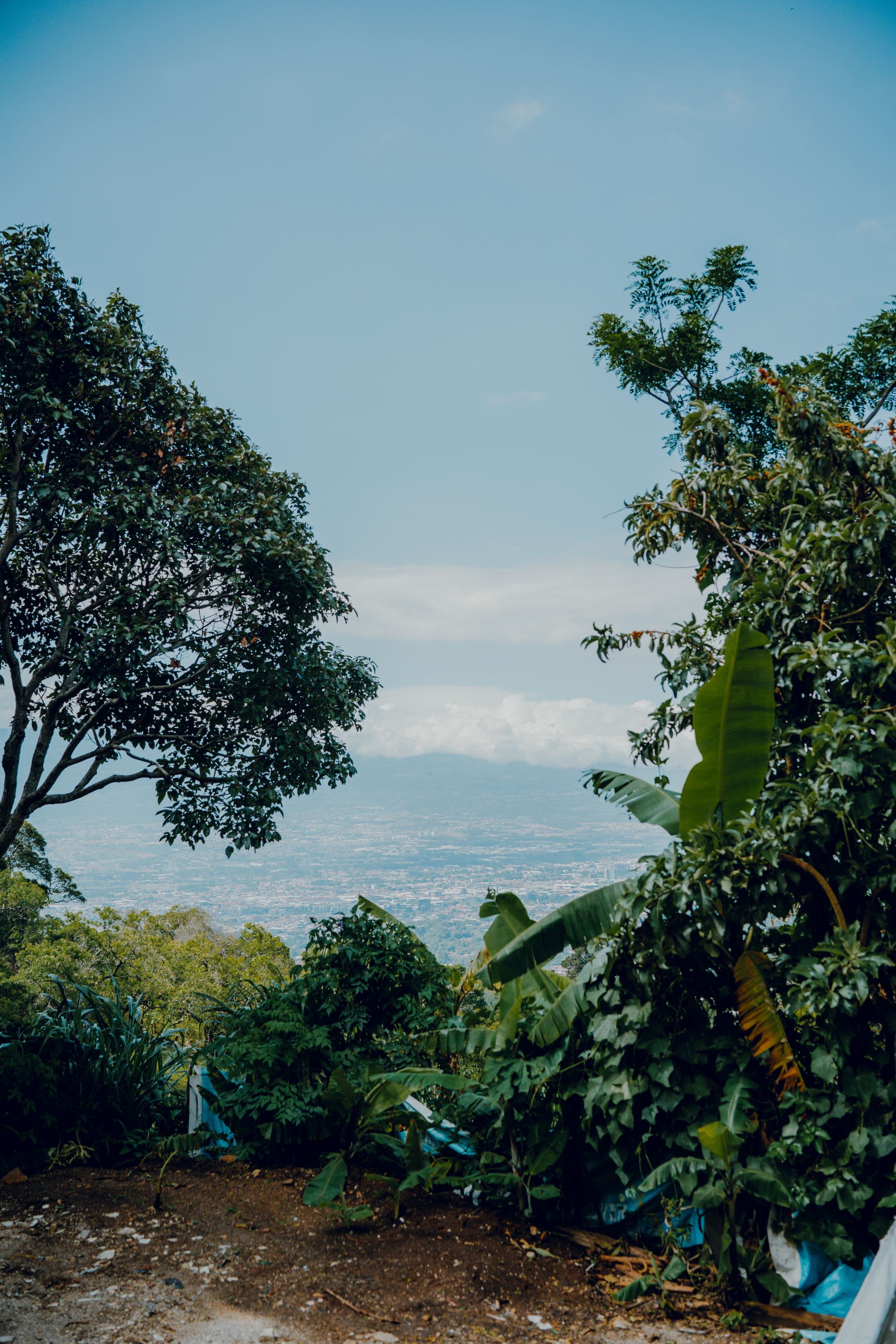 5 Days Costa Rica Jungle & Beaches: Manuel Antonio