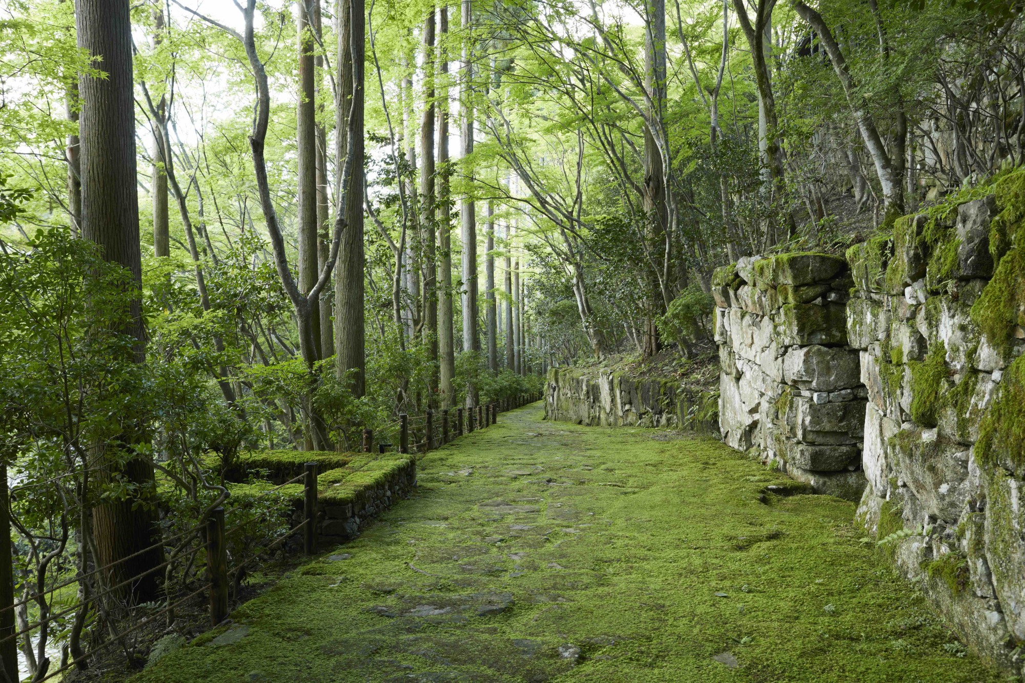 Aman Japan: Fora's Guide to Traveling to Japan — the Aman Way