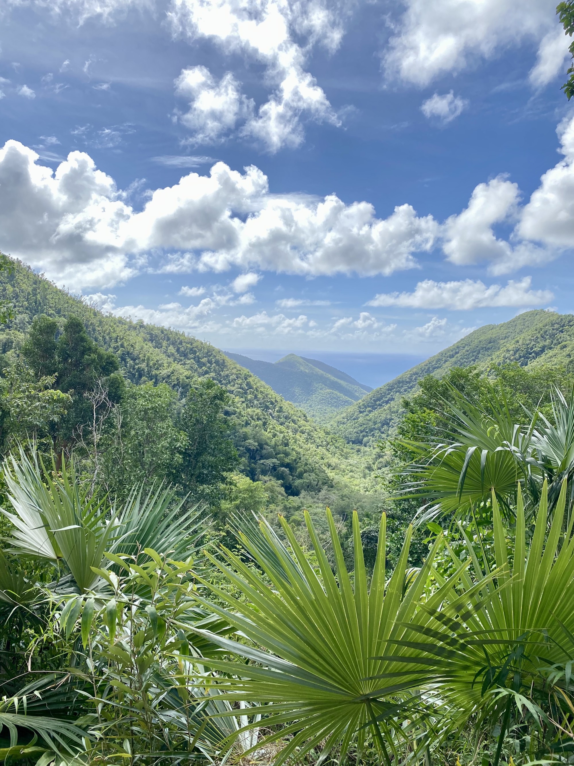A Guide to Visiting Virgin Islands National Park