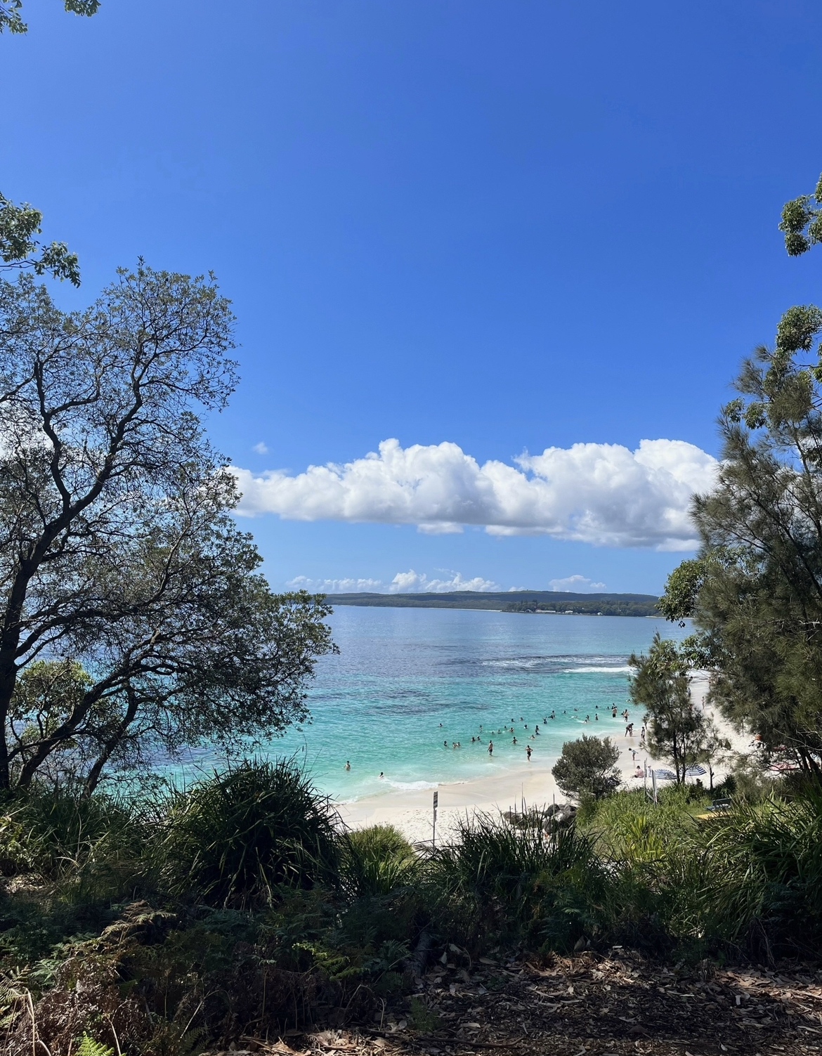 Beach Vacation in the South Coast of NSW
