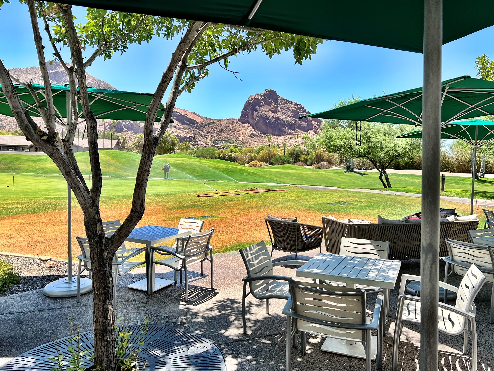 Property Spotlight: Mountain Shadows Resort