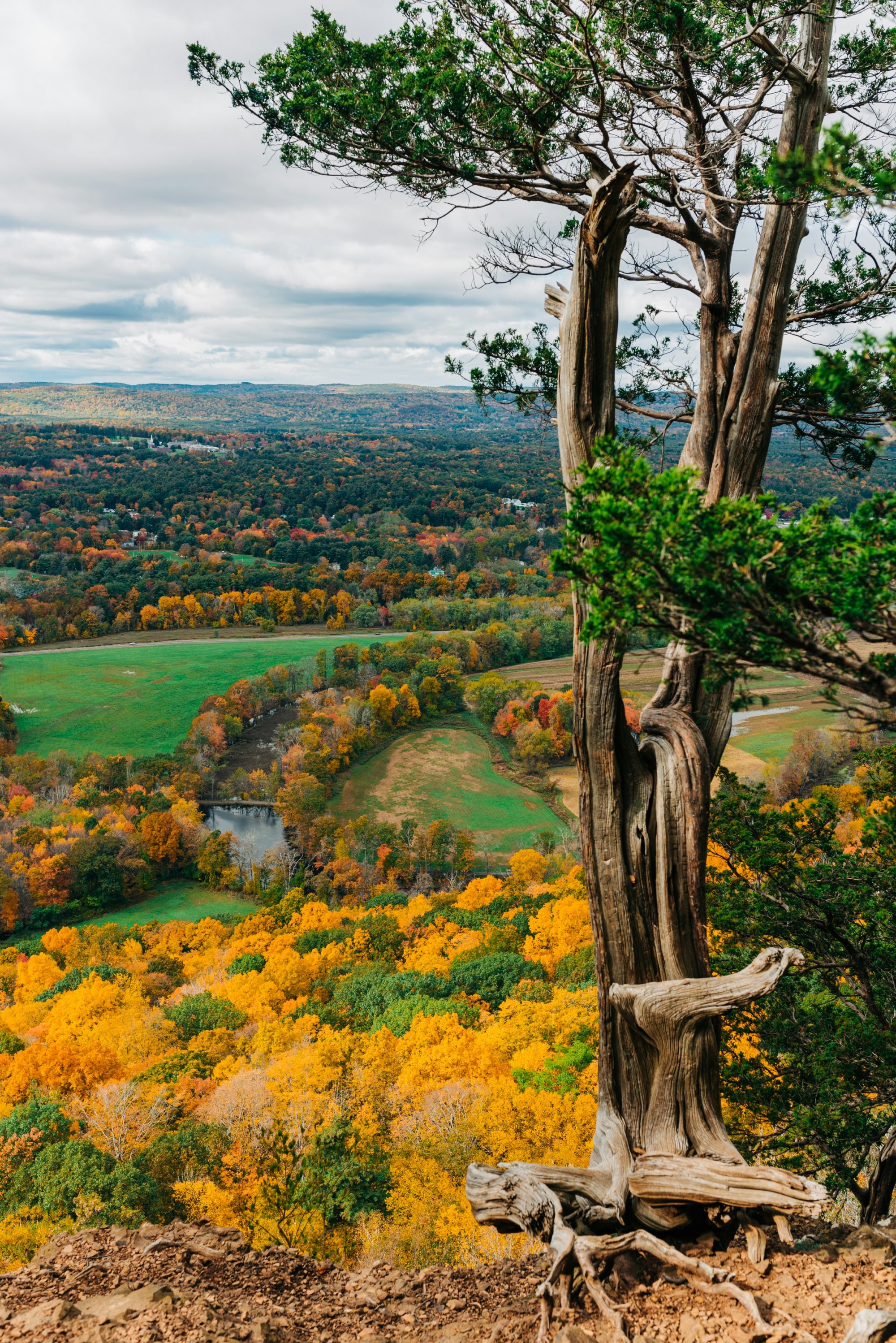 Experience New England's Best: Fall Foliage