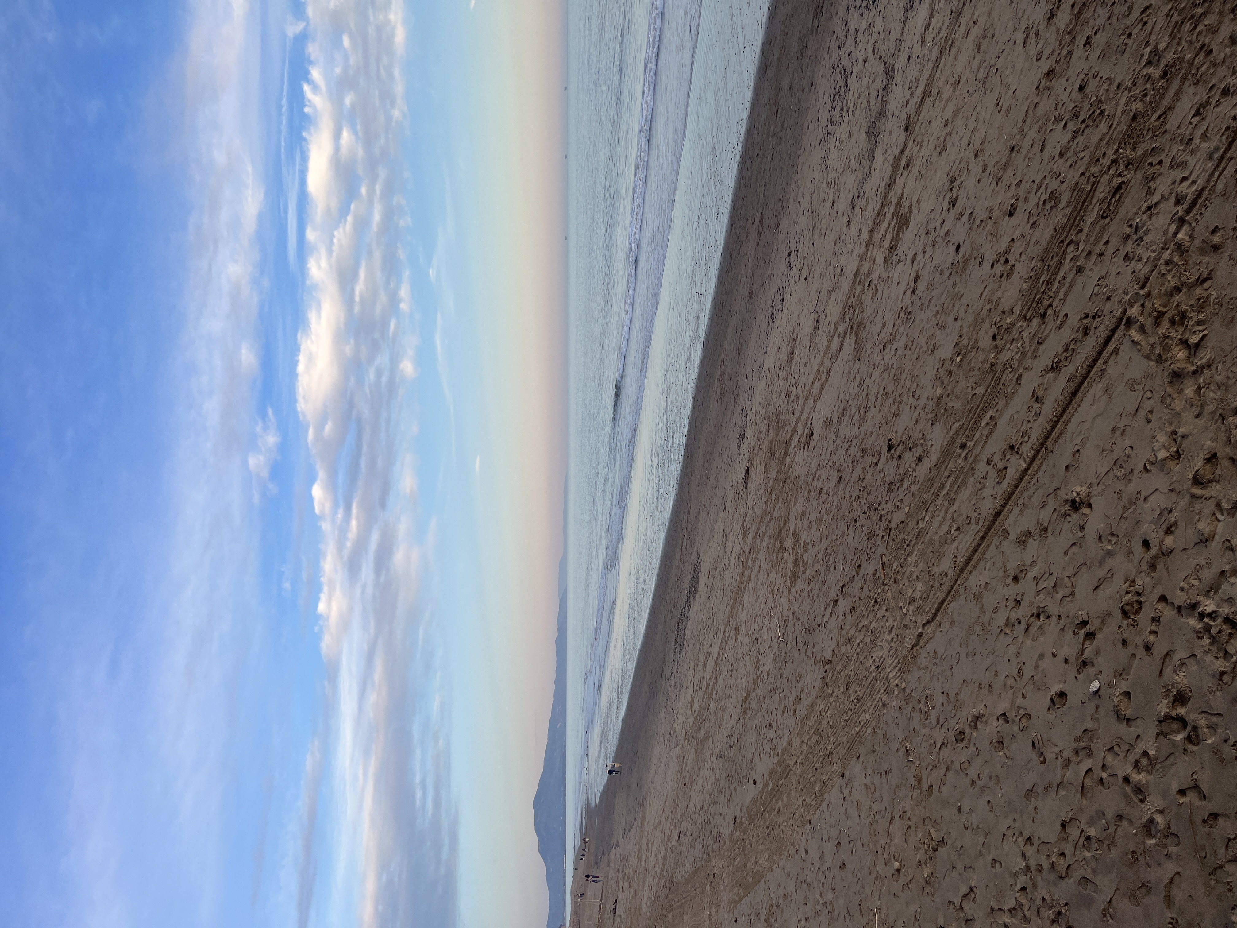 Suzanne Lee | Fora Travel