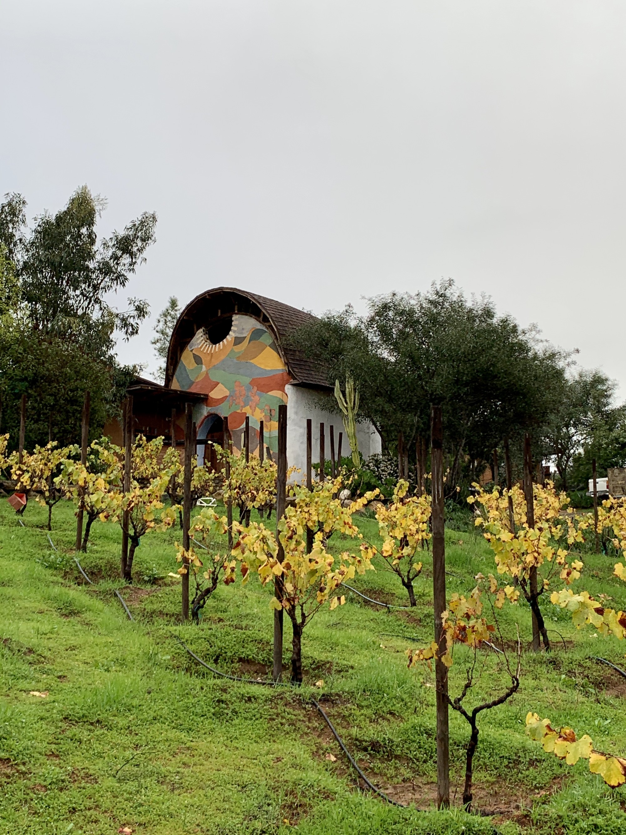 Baja Bliss: A Food, Wine & Activity Guide to Valle de Guadalupe