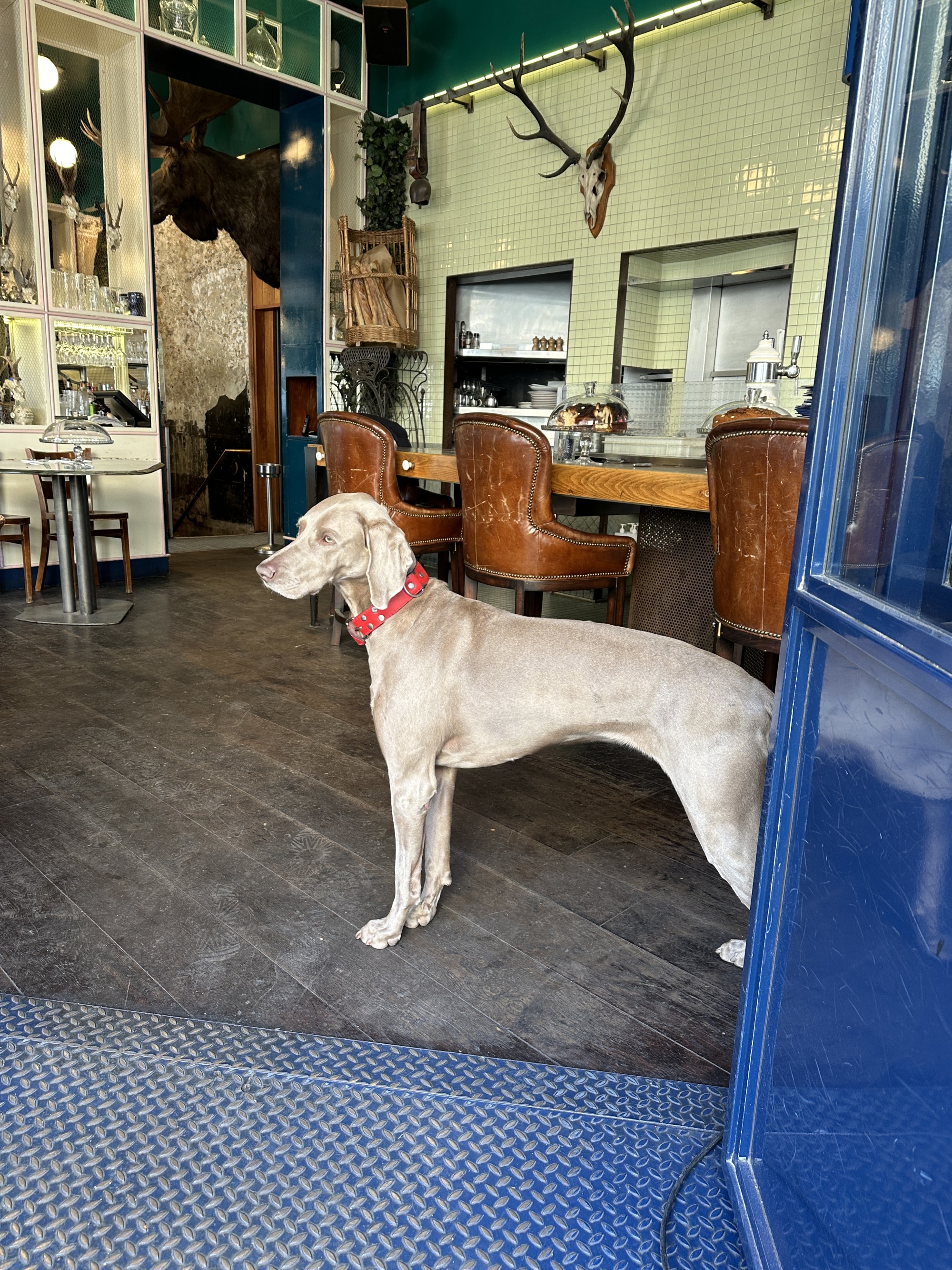 A Birthday Trip To Remember - Part 1